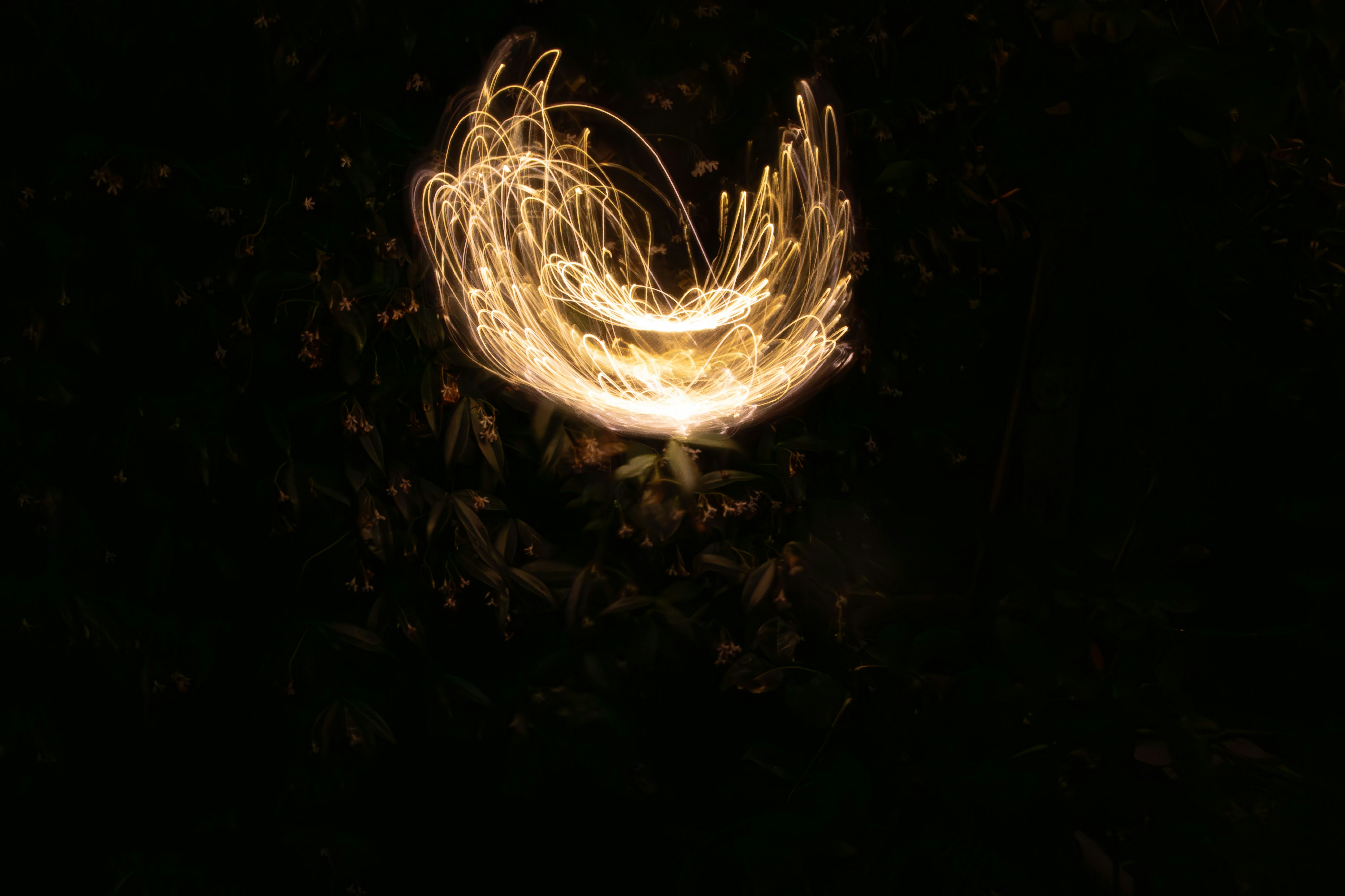 A light swings in front of a jasmine plant, taken long exposure for a light-paint effect. | Glowing light trails against a dark night.