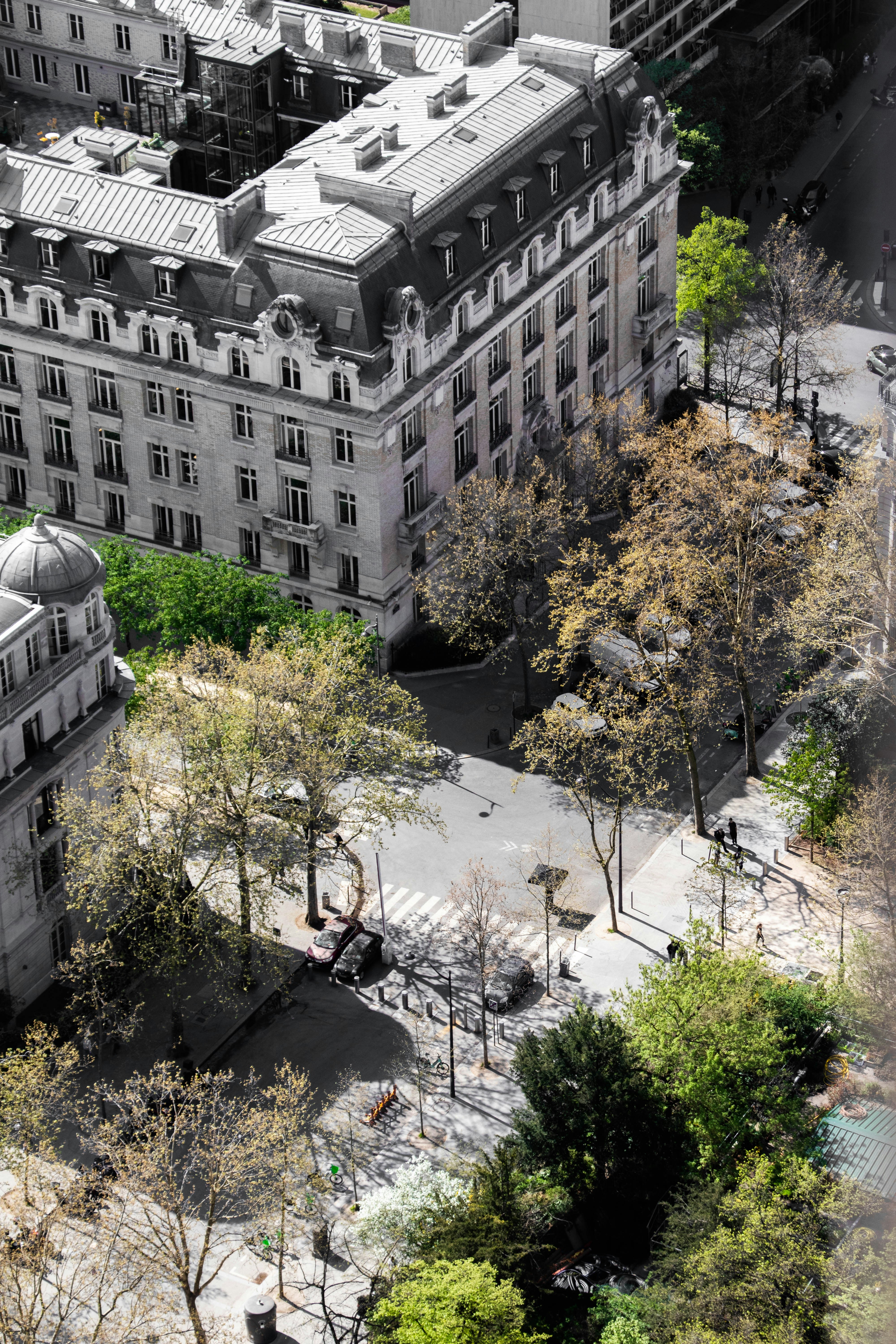 Aerial perspective of a Parisian street corner framed by historic buildings and tree-lined sidewalks.
