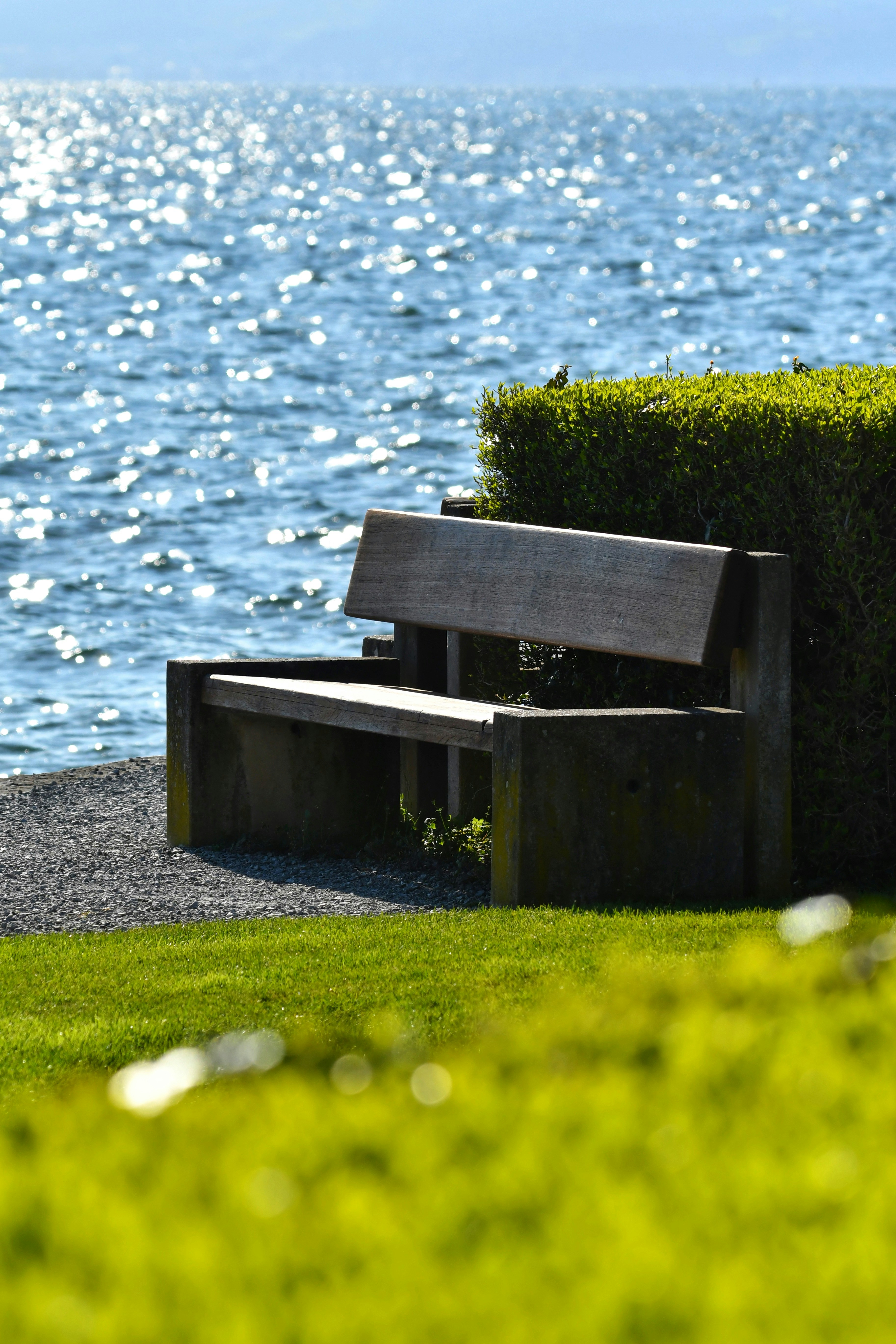 Sunlit Bench by the Glittering Sea: A Quiet Shoreline Portrait