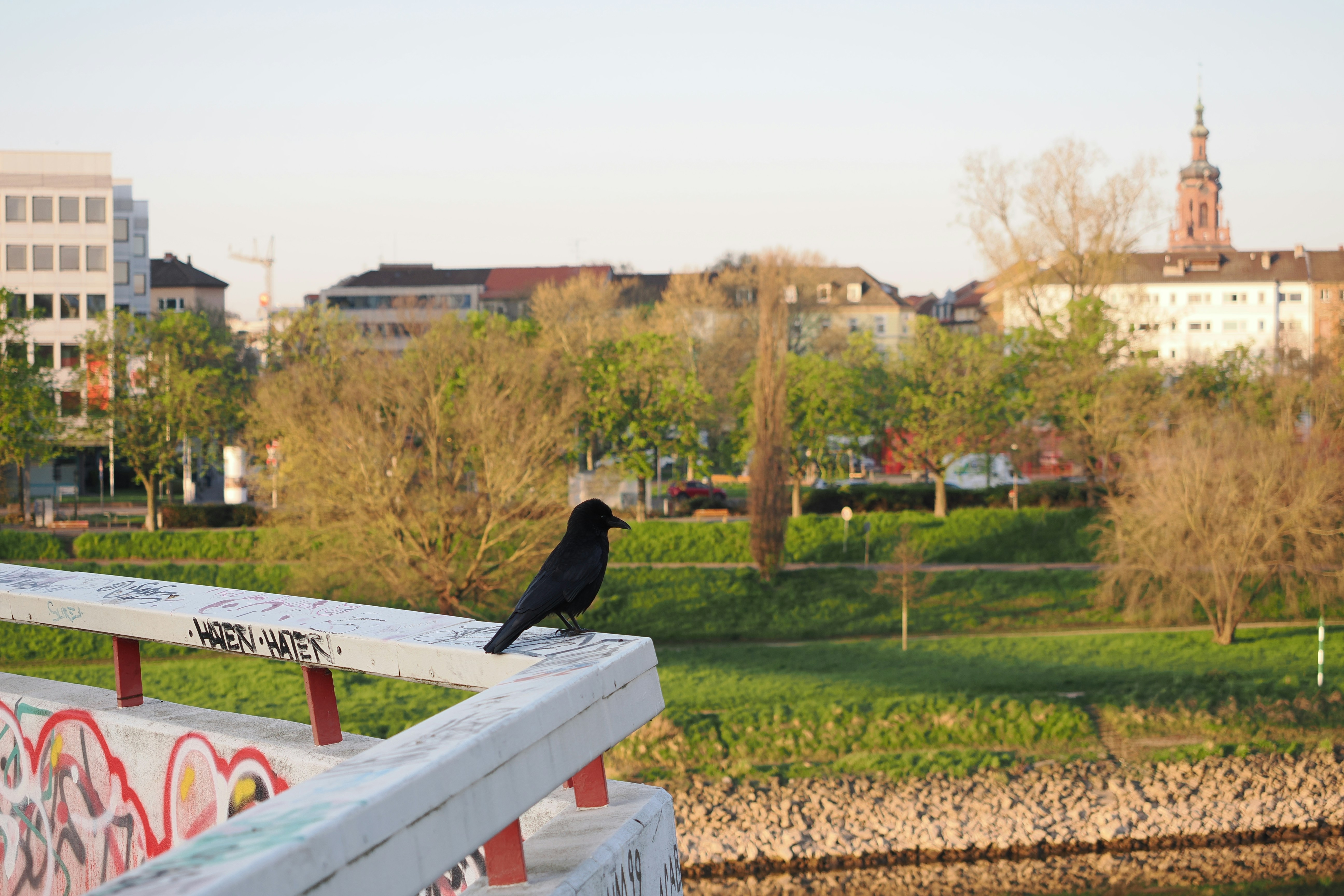 Der Rabe auf der Brücke