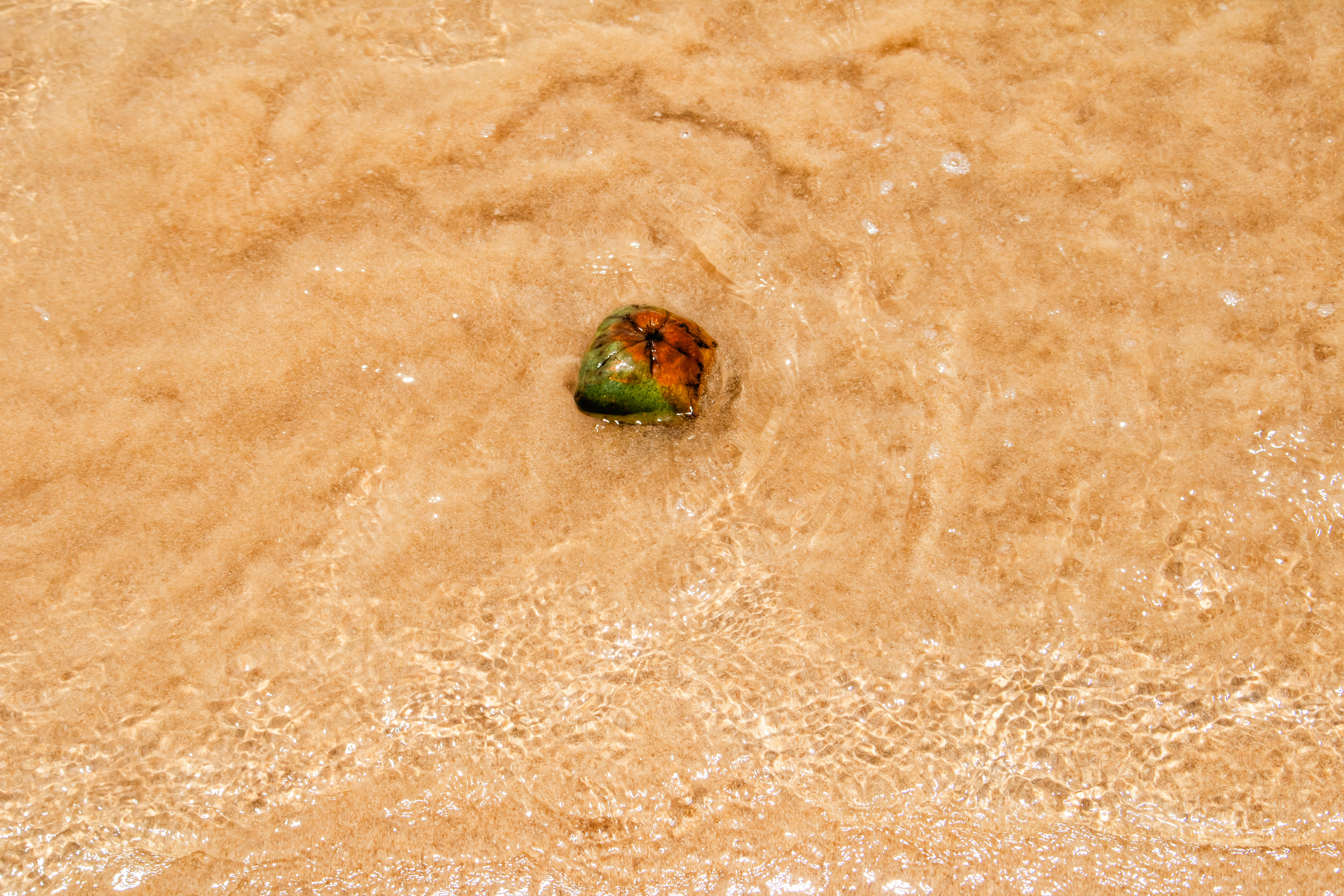 A lone stone rests on a sandy beach, partially submerged in gentle waves, showcasing the interplay of water and sand. The texture of the wet sand contrasts with the stone's rugged surface.