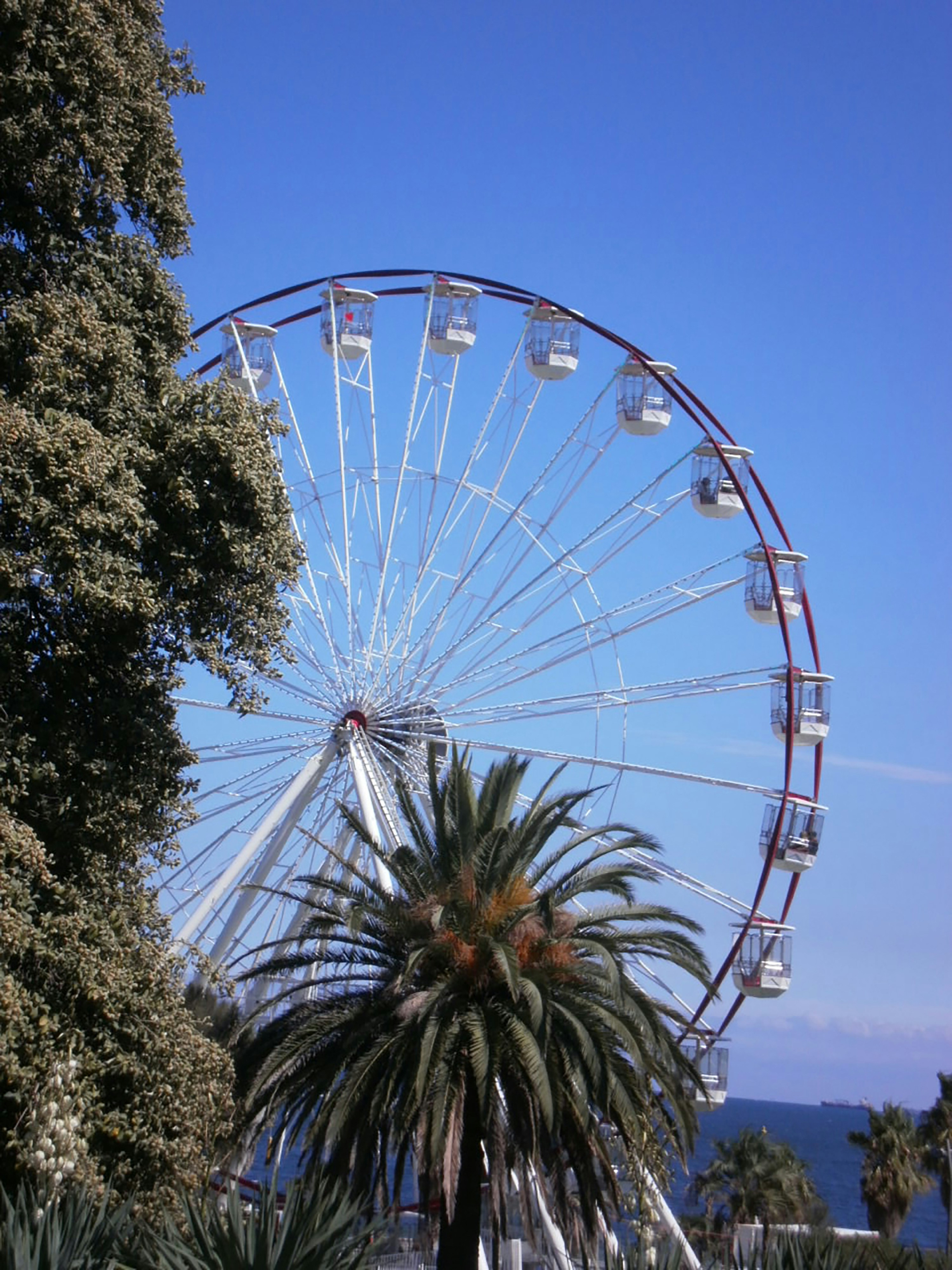 Photo by Yerin SEO with Olympus FE-4020