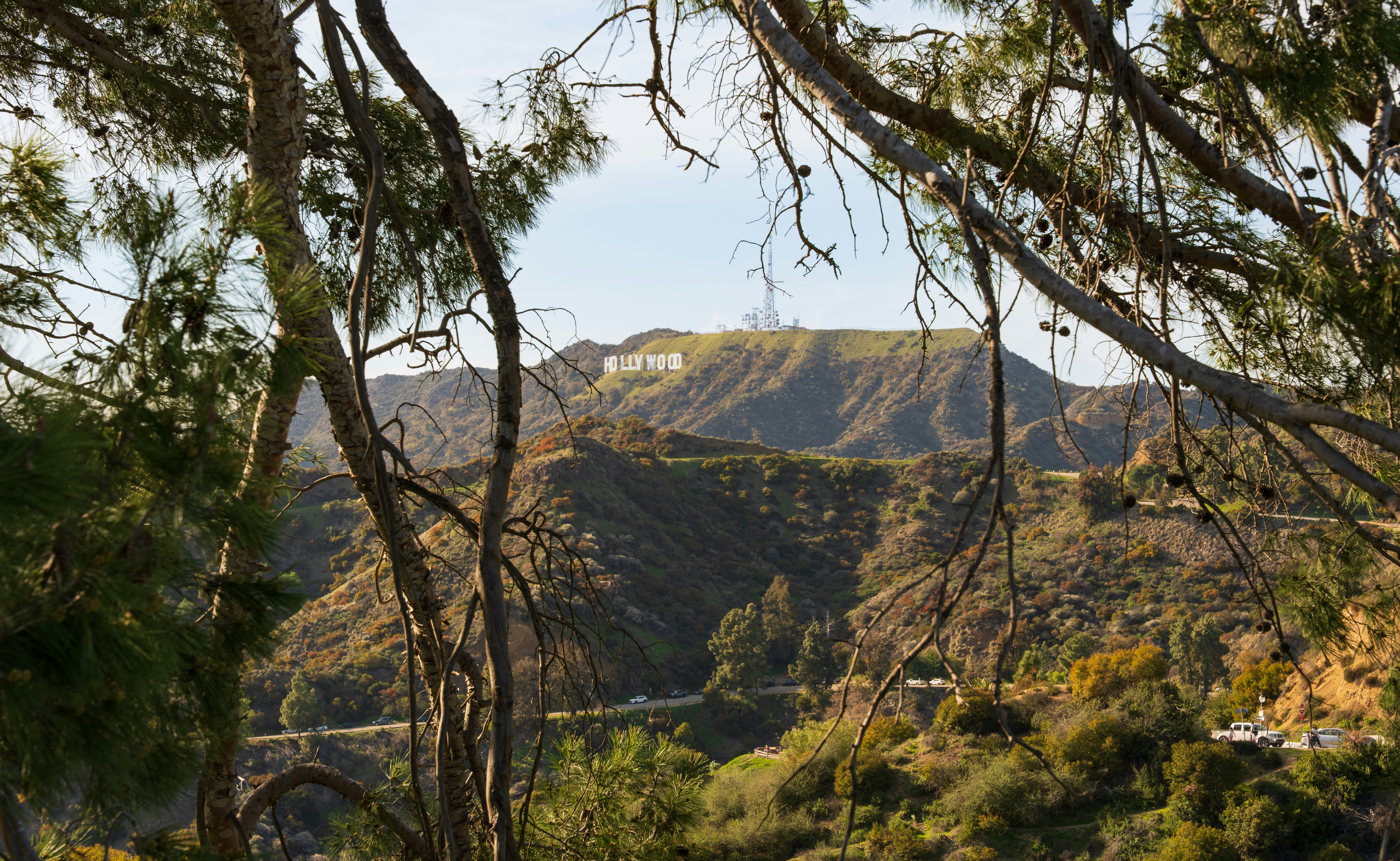 Photo by Murali Raju with Sony Alpha 7 IV