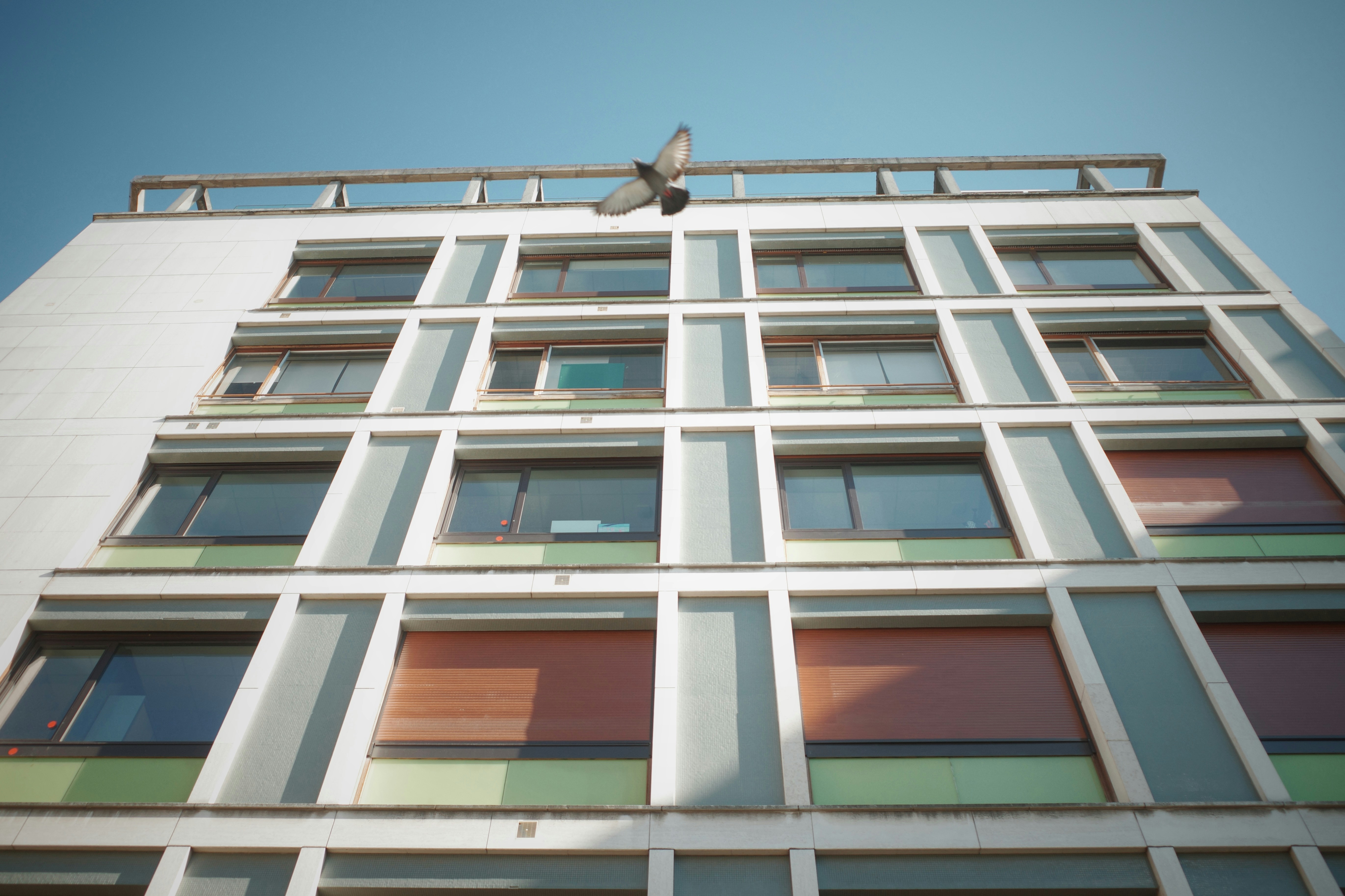Urban Flight: A Bird's Journey Above Modern Architecture