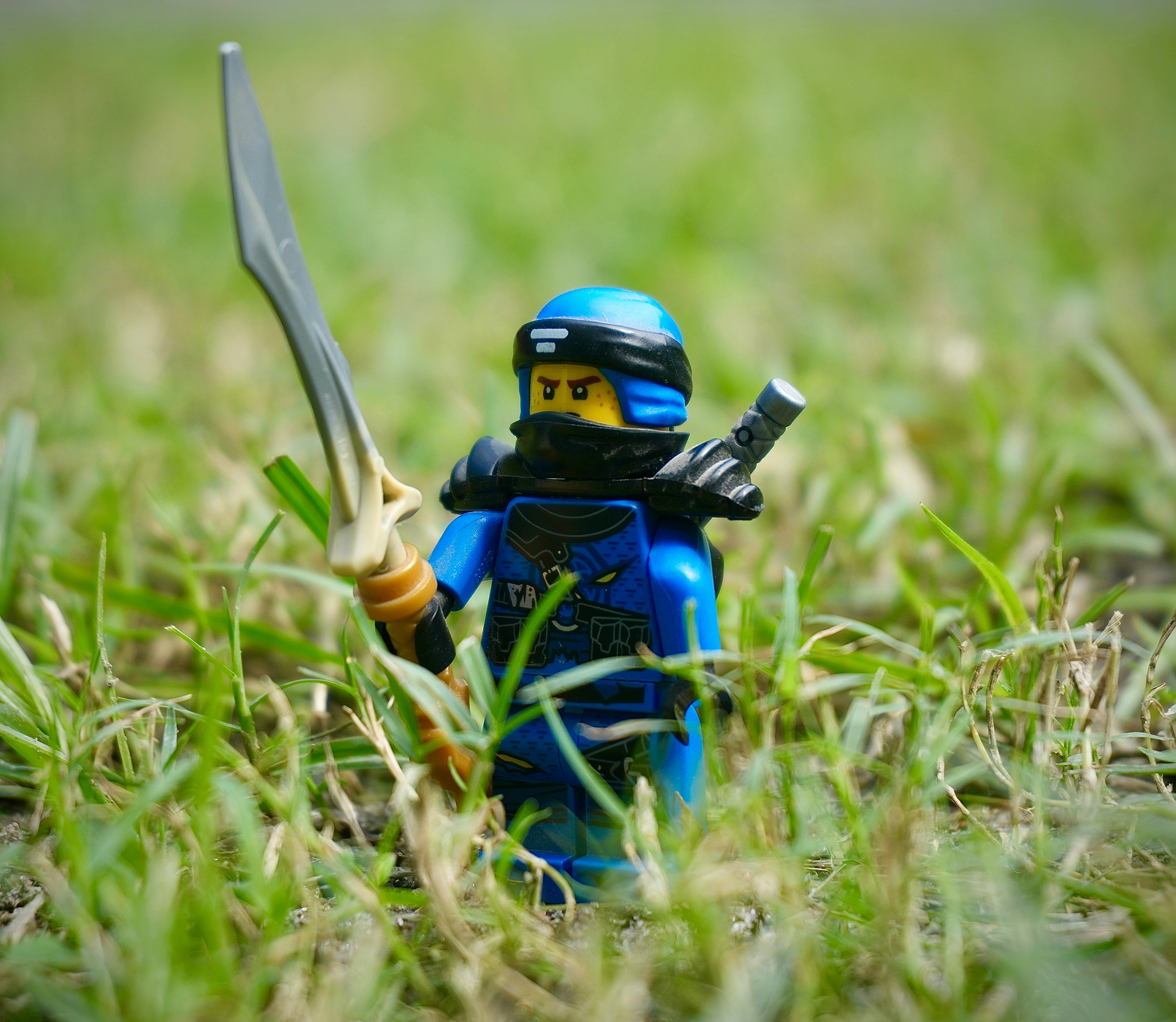 A blue ninja stands ready in the tall grass. photo – Free Human Image ...