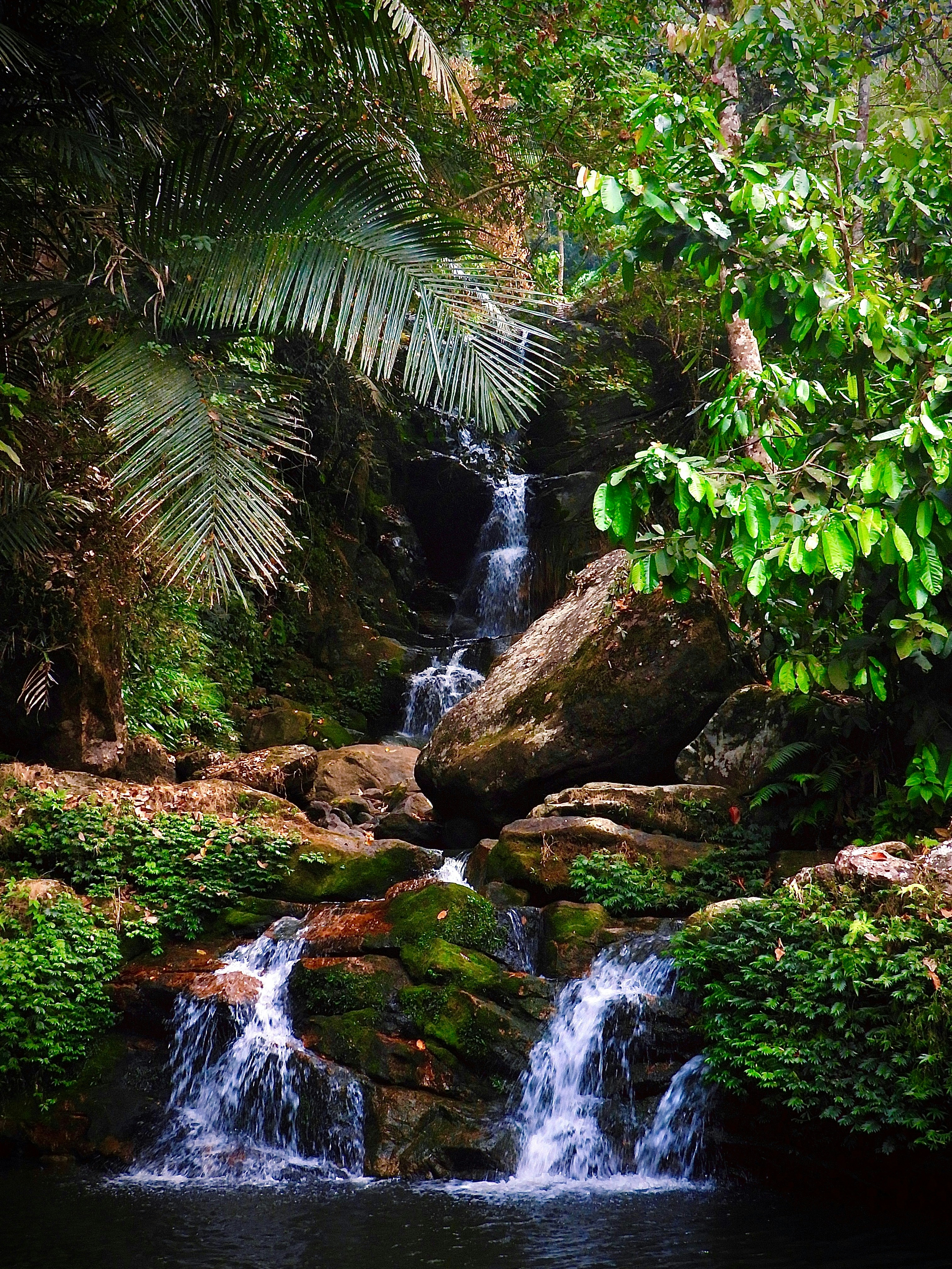 Sankalp Rajvanshi (@sankalp_rajvanshi) | Unsplash Photo Community