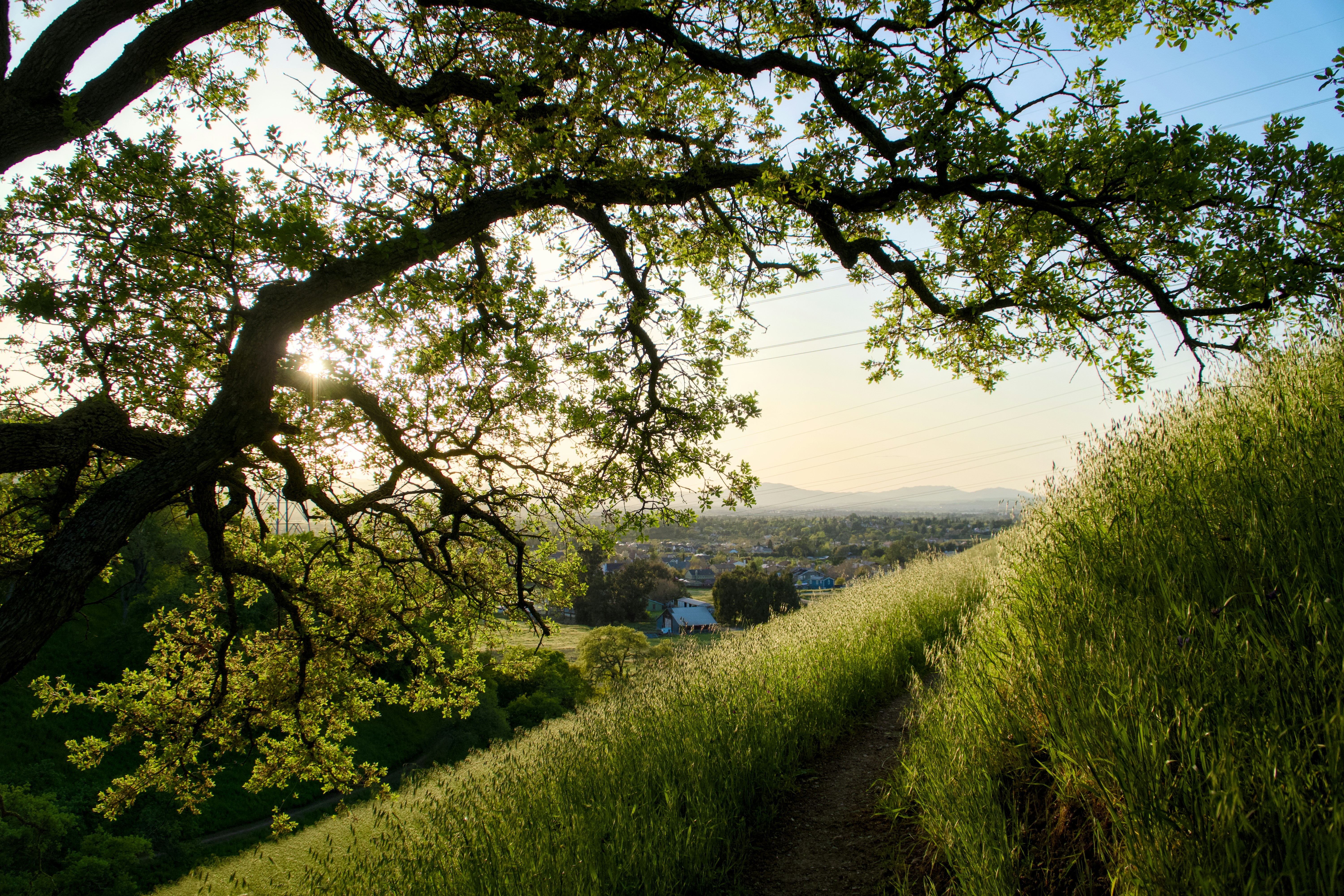 Sunlit Ridge Trail: A Narrow Green Path Toward a Distant Town