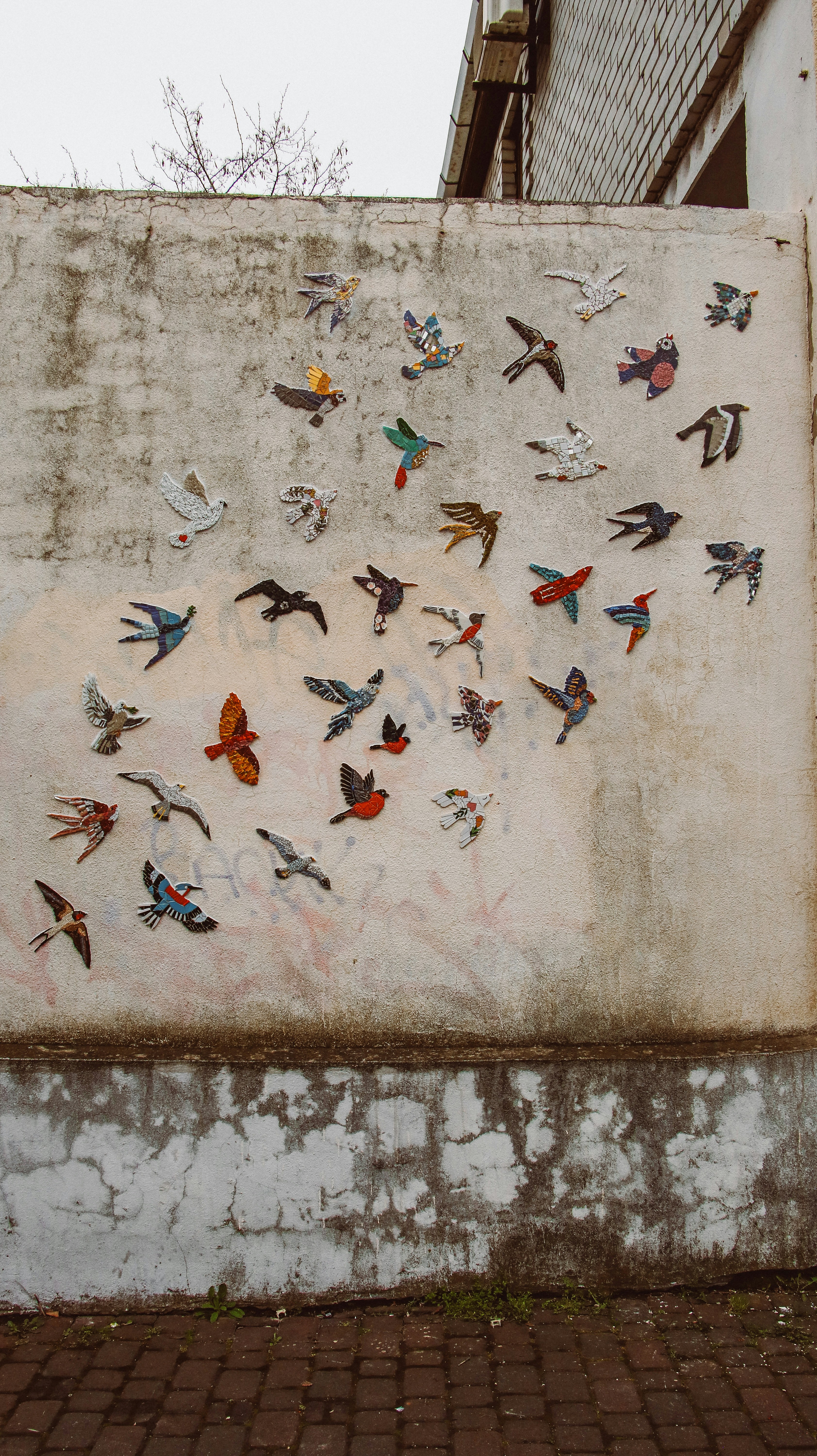 Urban Flock: A Burst of Painted Birds Across a Weathered Wall