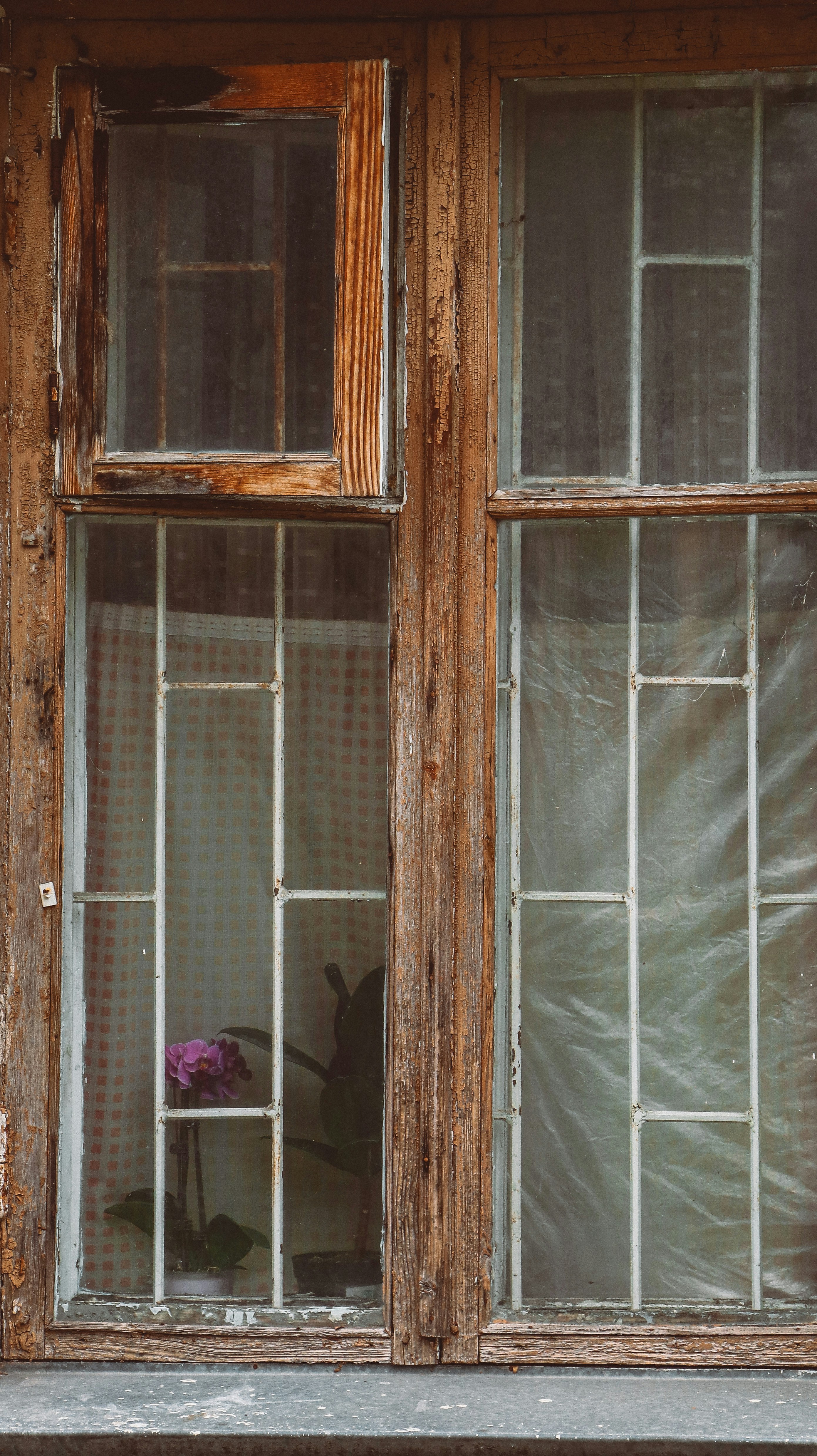 Photo by Khristina Sergeychik with Canon EOS 80D