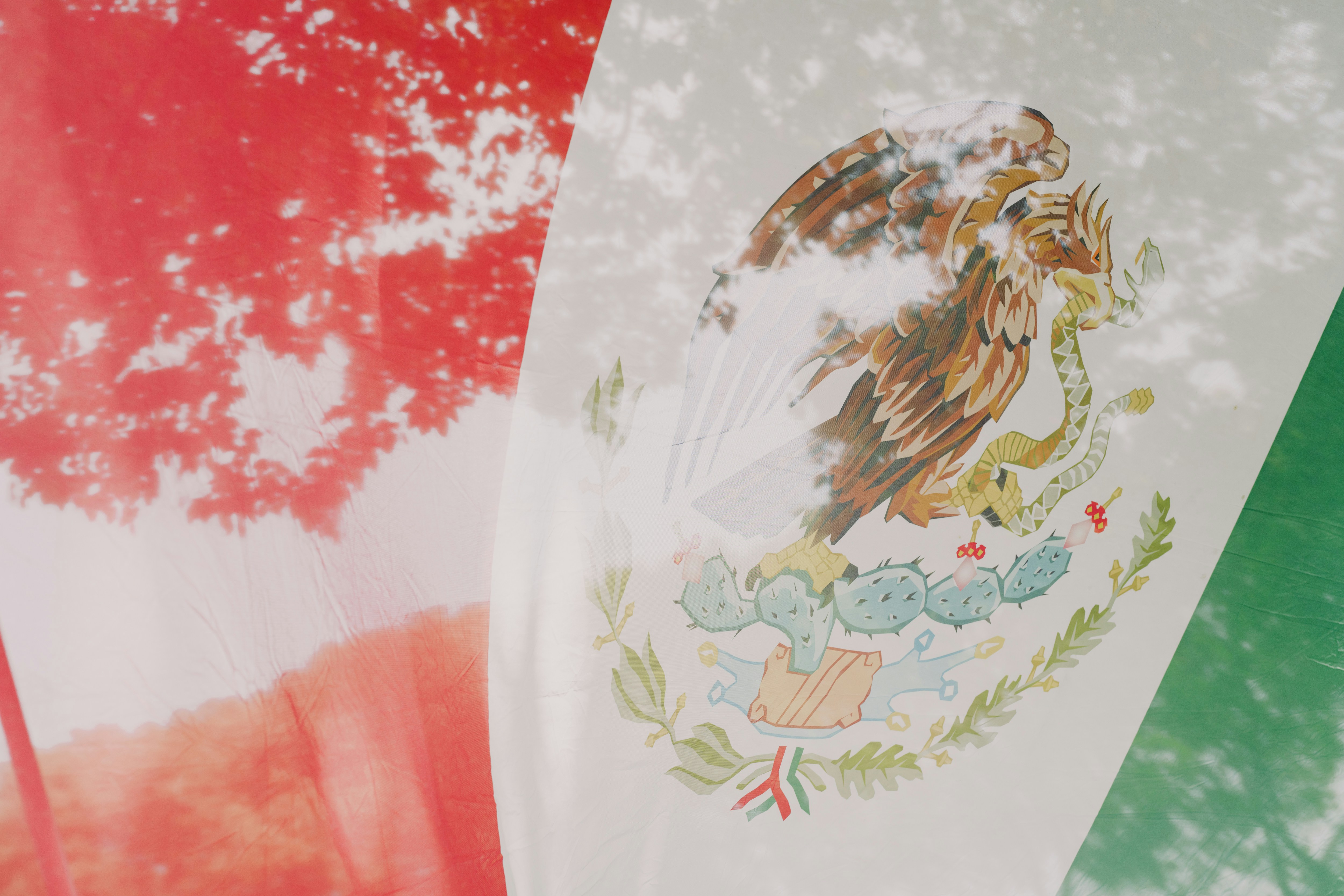 The mexican flag is partially seen with trees. photo – Free Animal ...