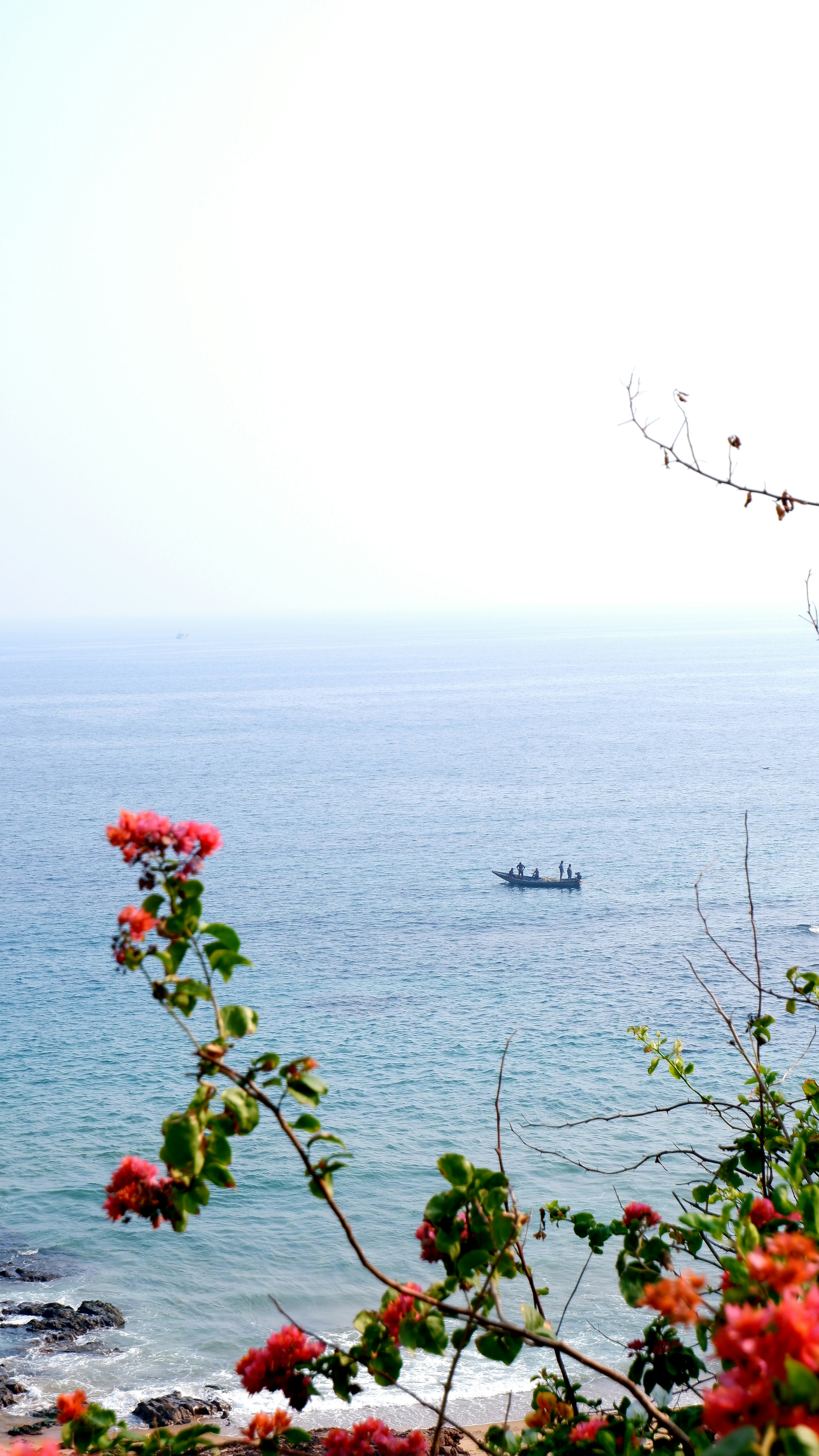 Crimson Bougainvillea Framing a Silent Sea and Boat