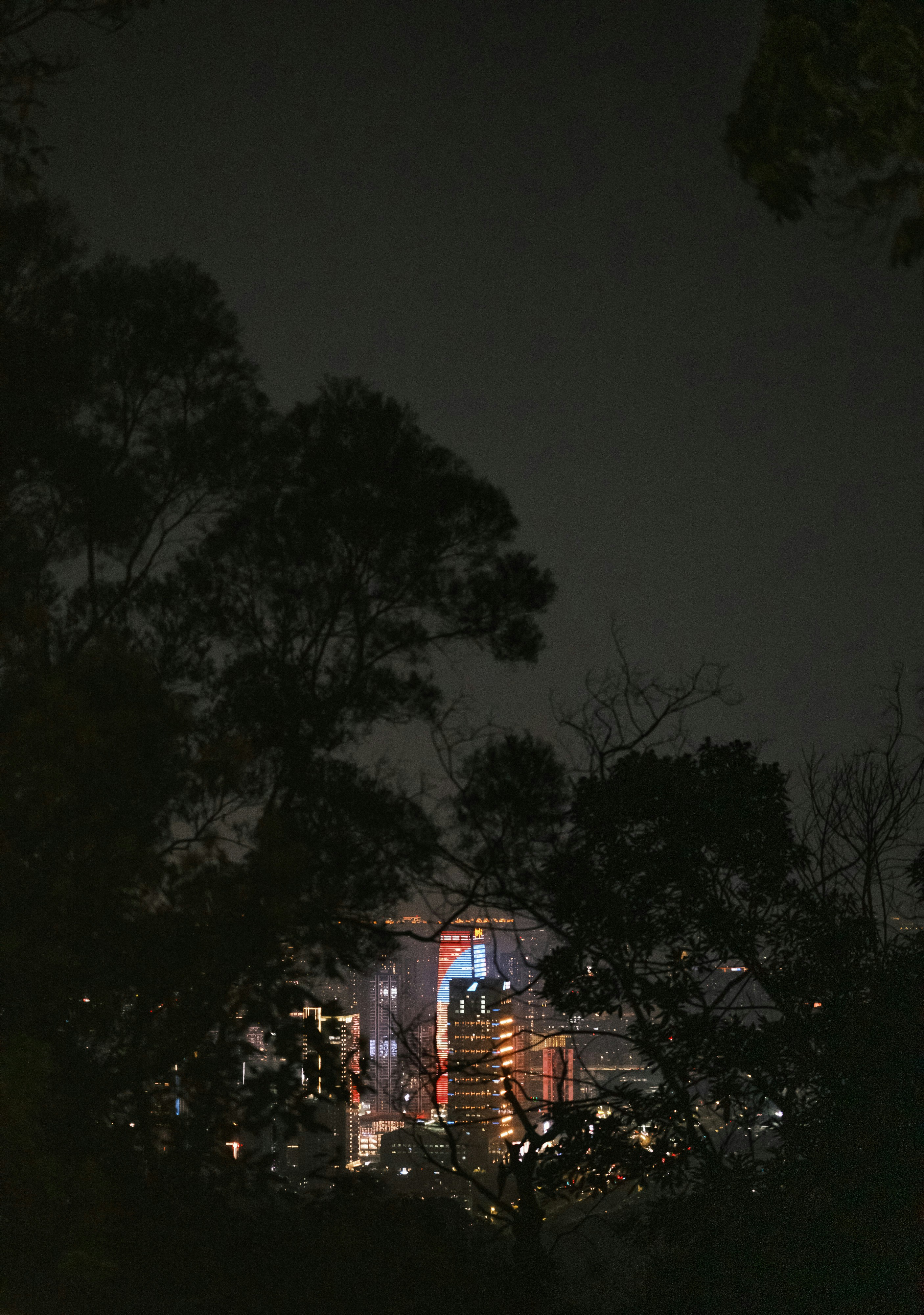 Urban Glow Through Nature's Veil