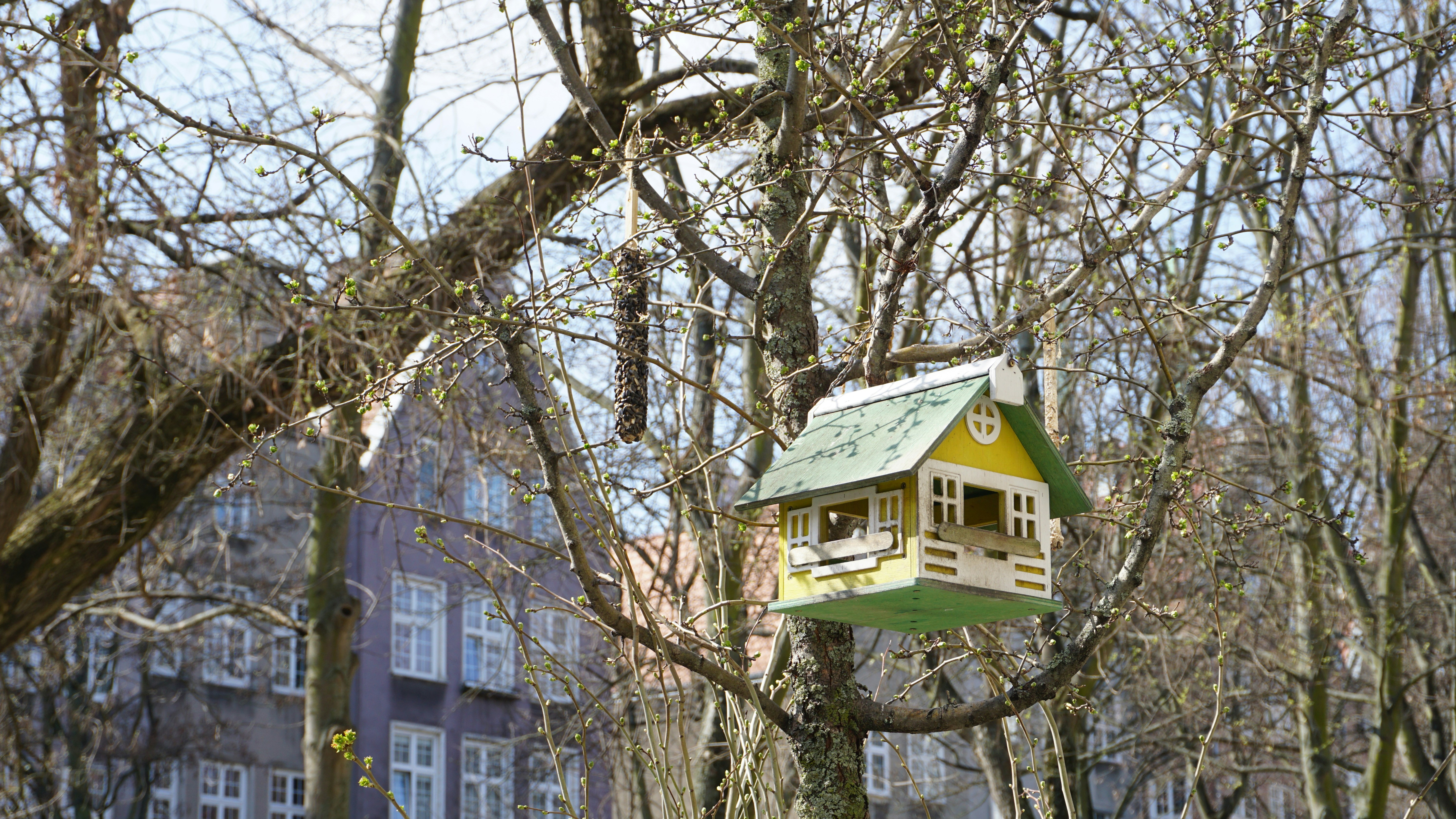 Photo by Marek Lumi with Sony Alpha 6000