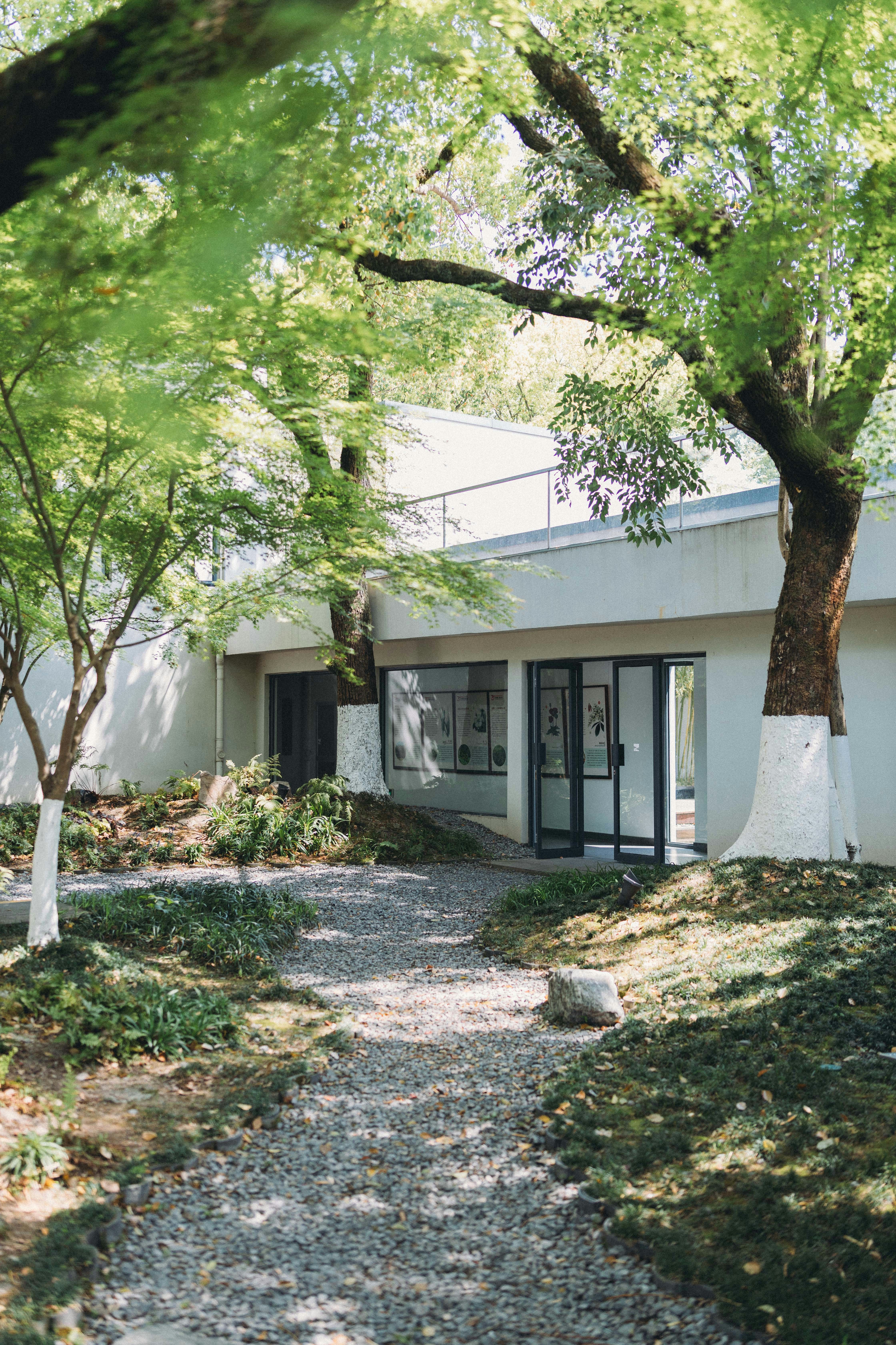A peaceful building sits amidst lush green trees. photo – Free Forest ...