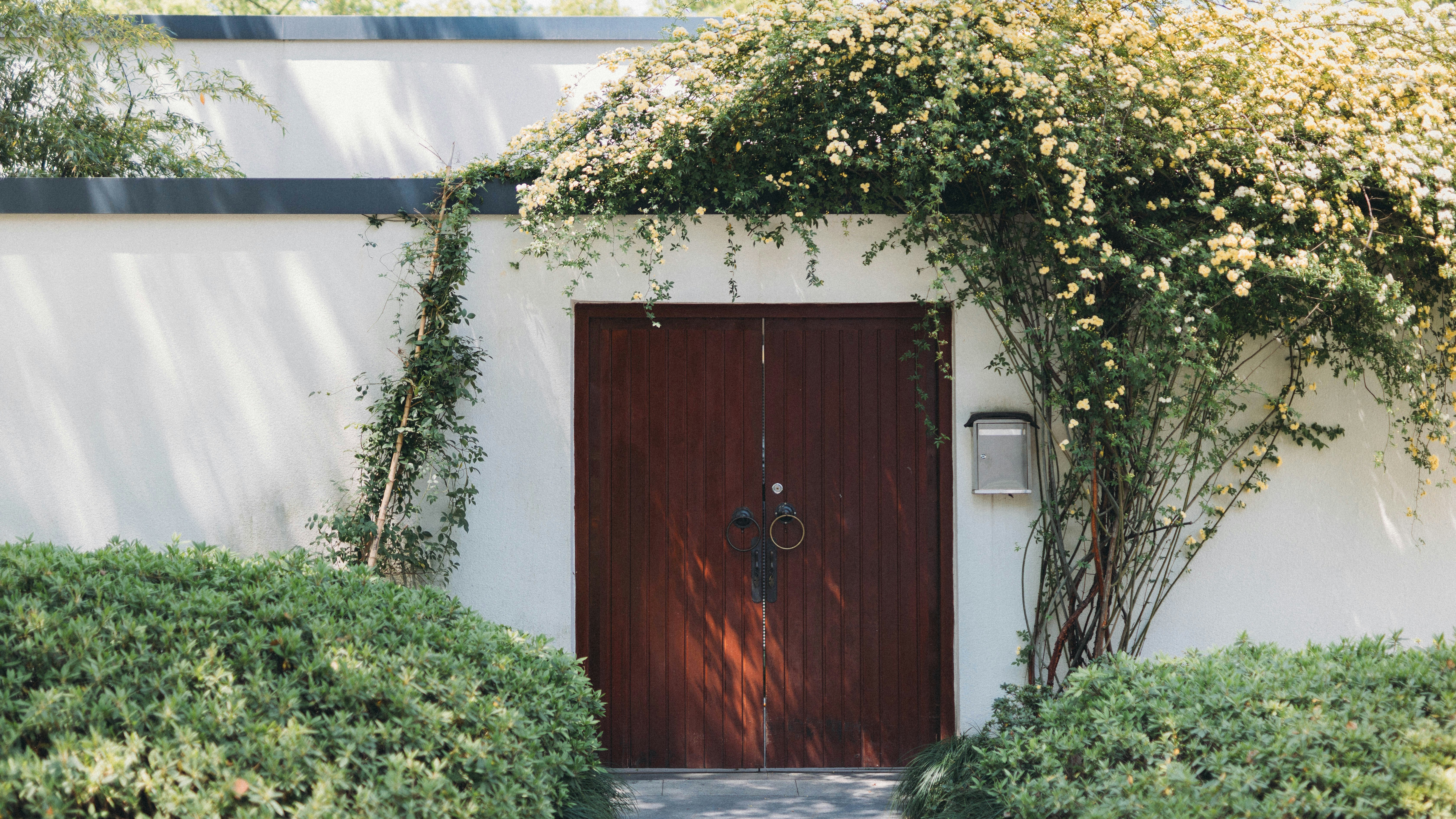 Wooden door framed by lush greenery and climbing vines on a sunny day.
