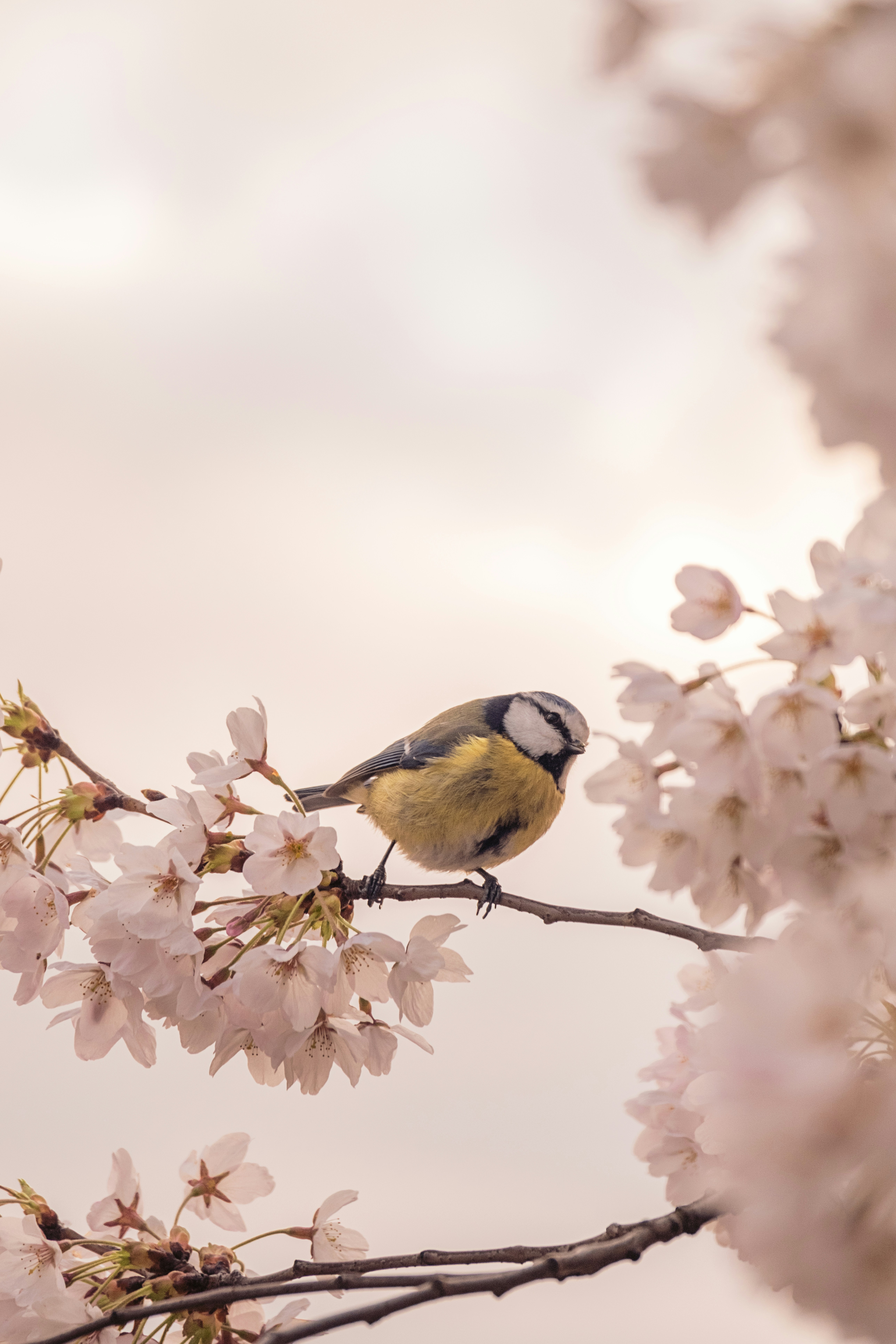 Julia Solonina (@julie_soul) | Unsplashフォトコミュニティ