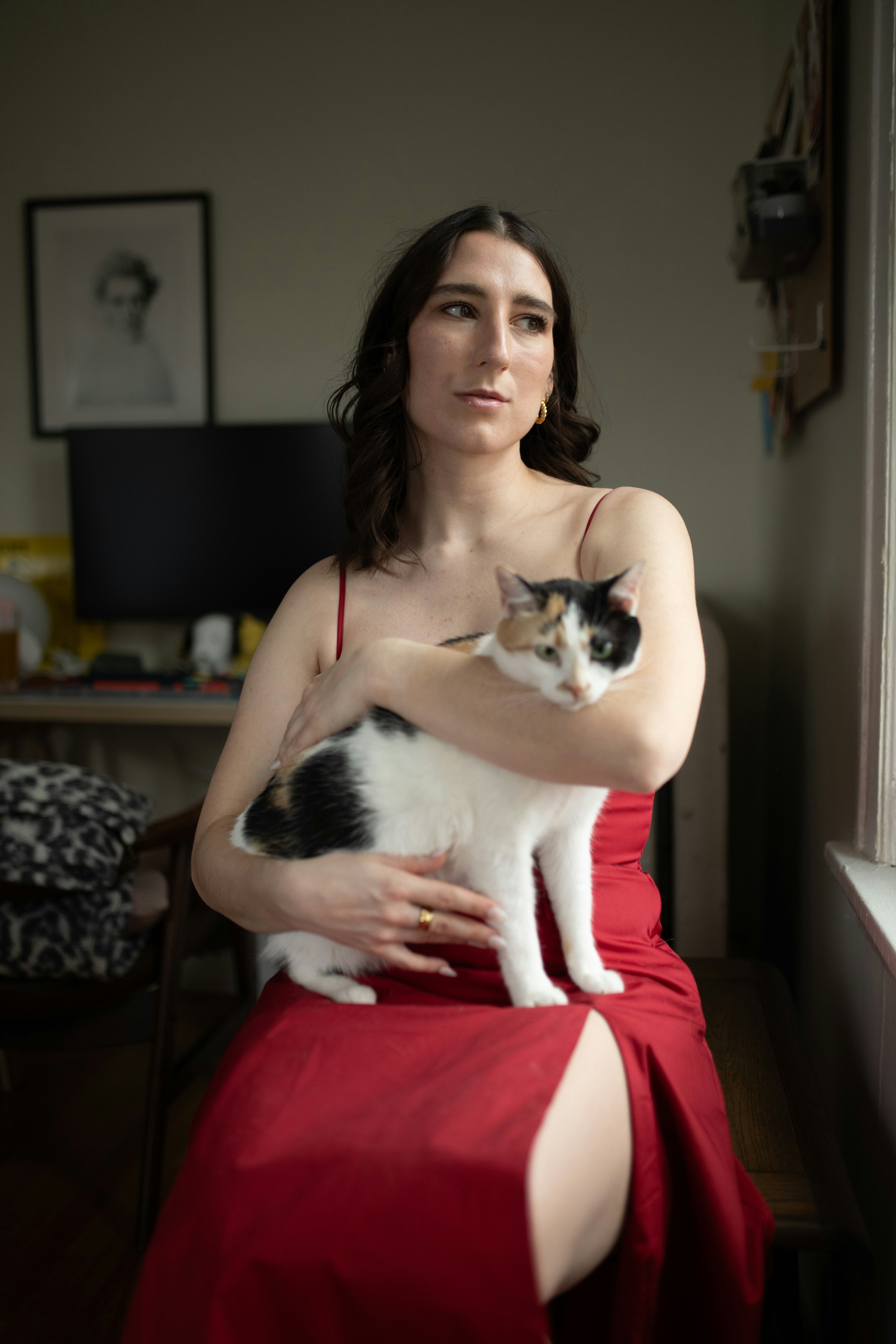 Red Velvet and Calico: a Calm Moment with a Cat Hug