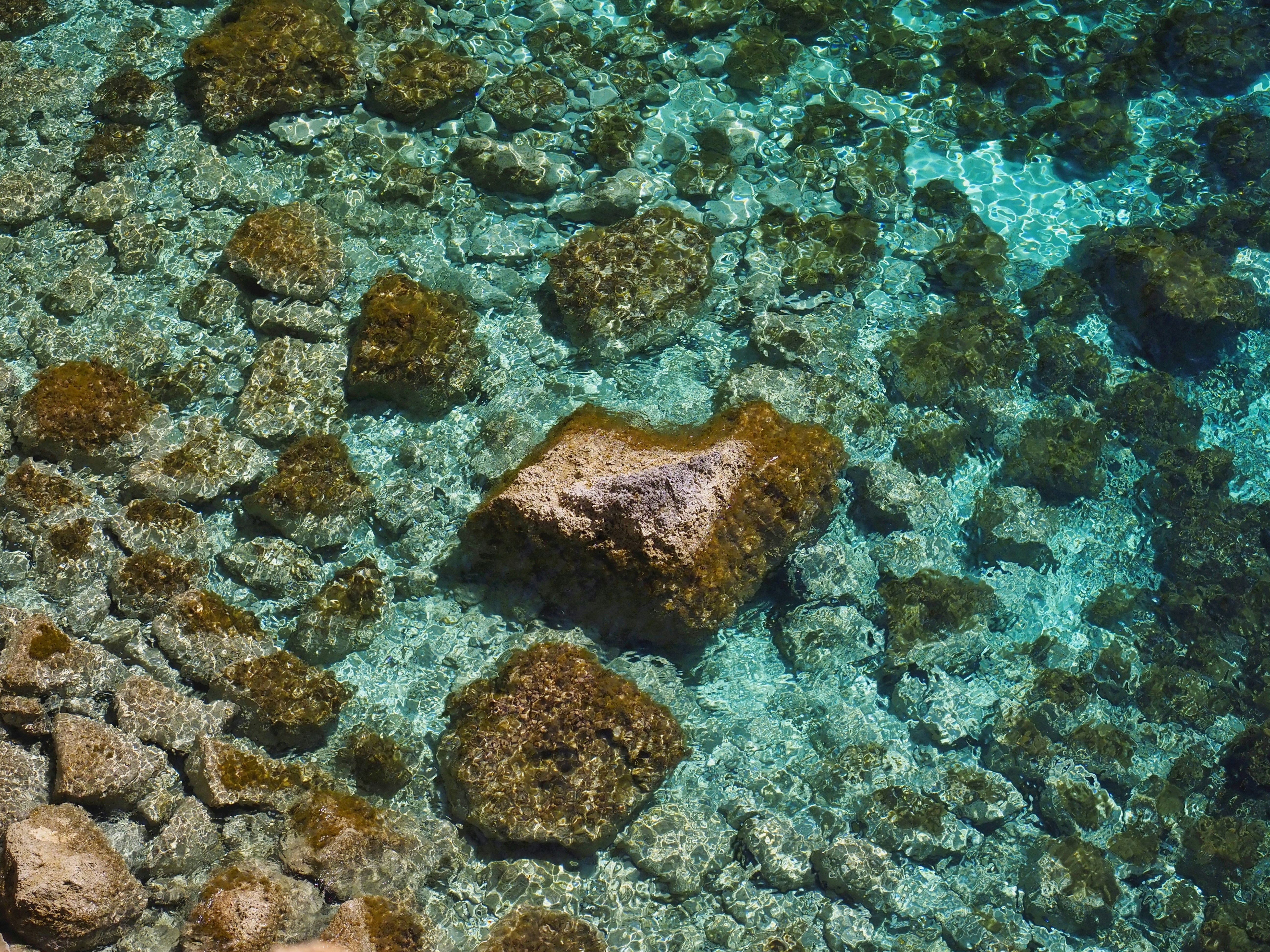 Turquoise Seabed Mosaic: A Pink Stone Anchors the Reef Floor