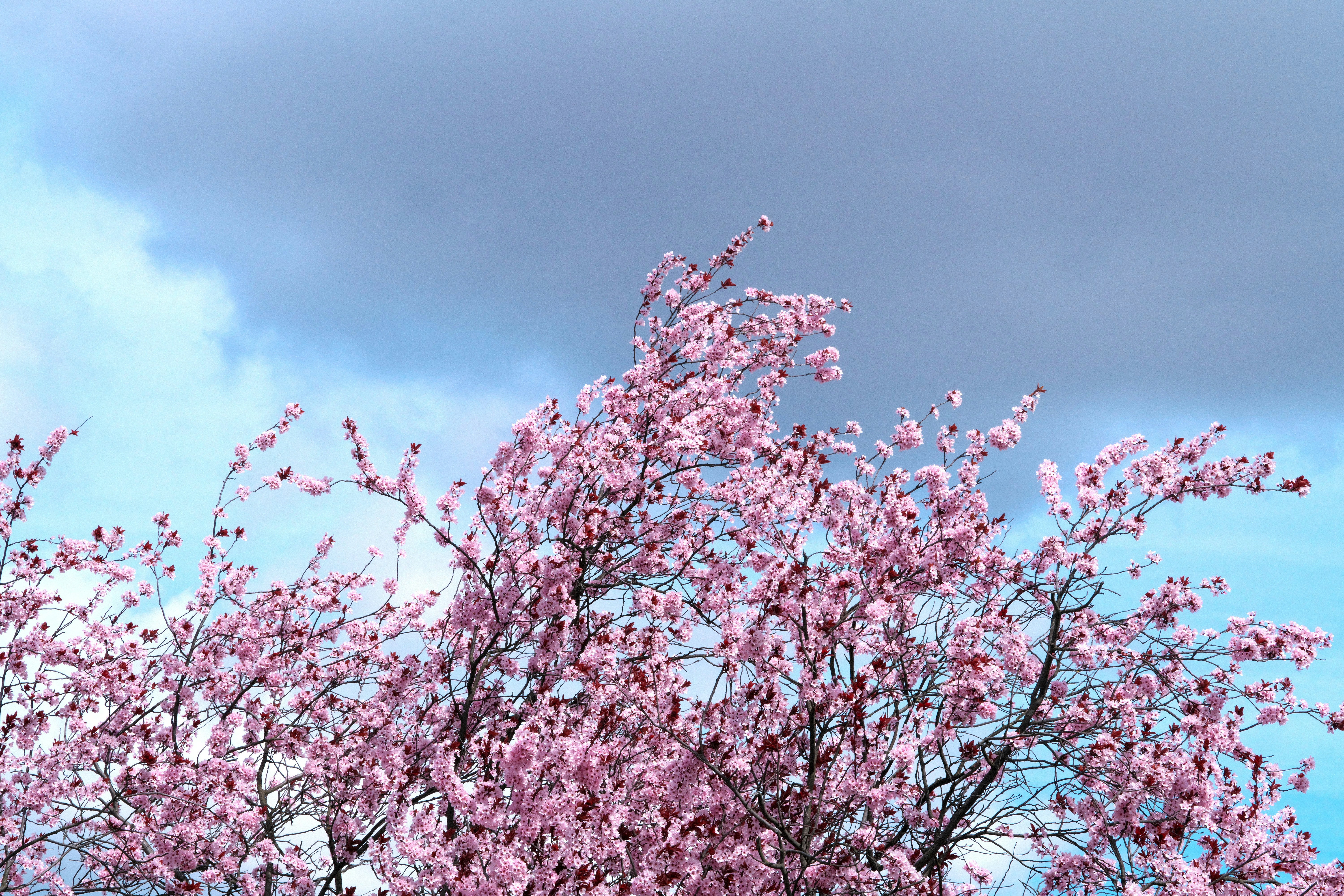 Photo by Tadeusz Zachwieja with Sony Alpha 7R V