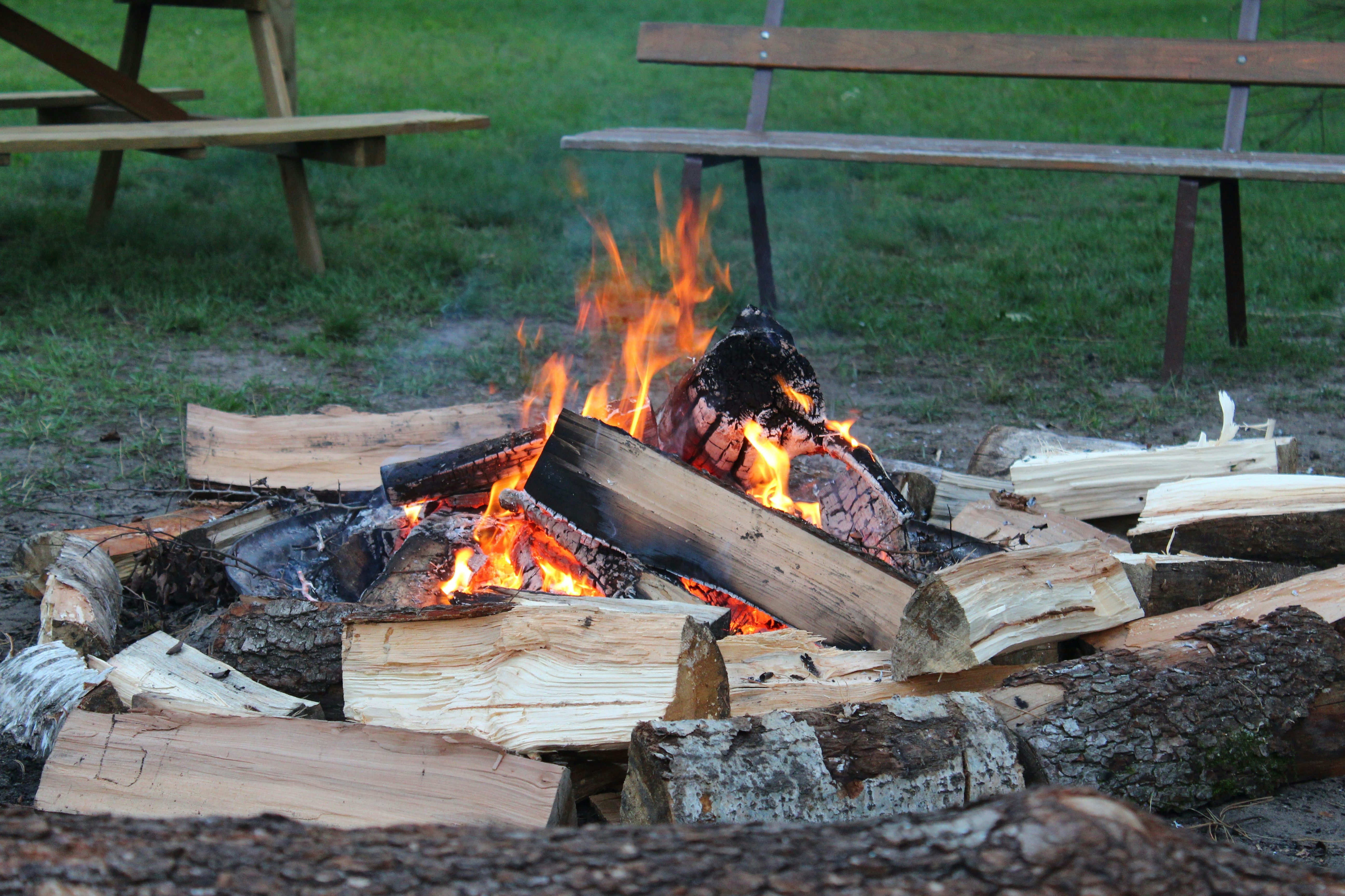Embers of Connection: A Campfire Gathering