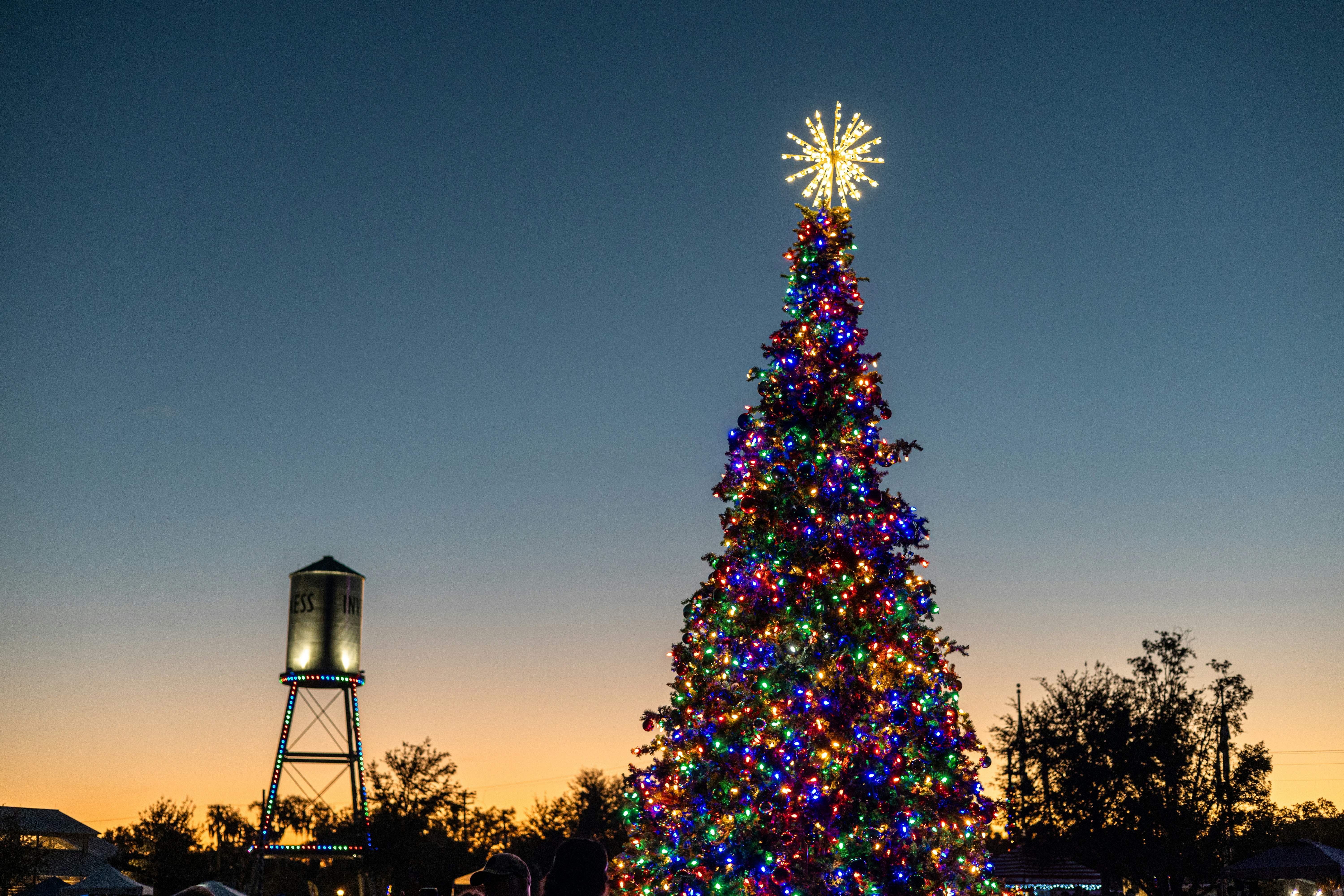 Holiday Glow: A Gleaming Christmas Tree Against Dusk
