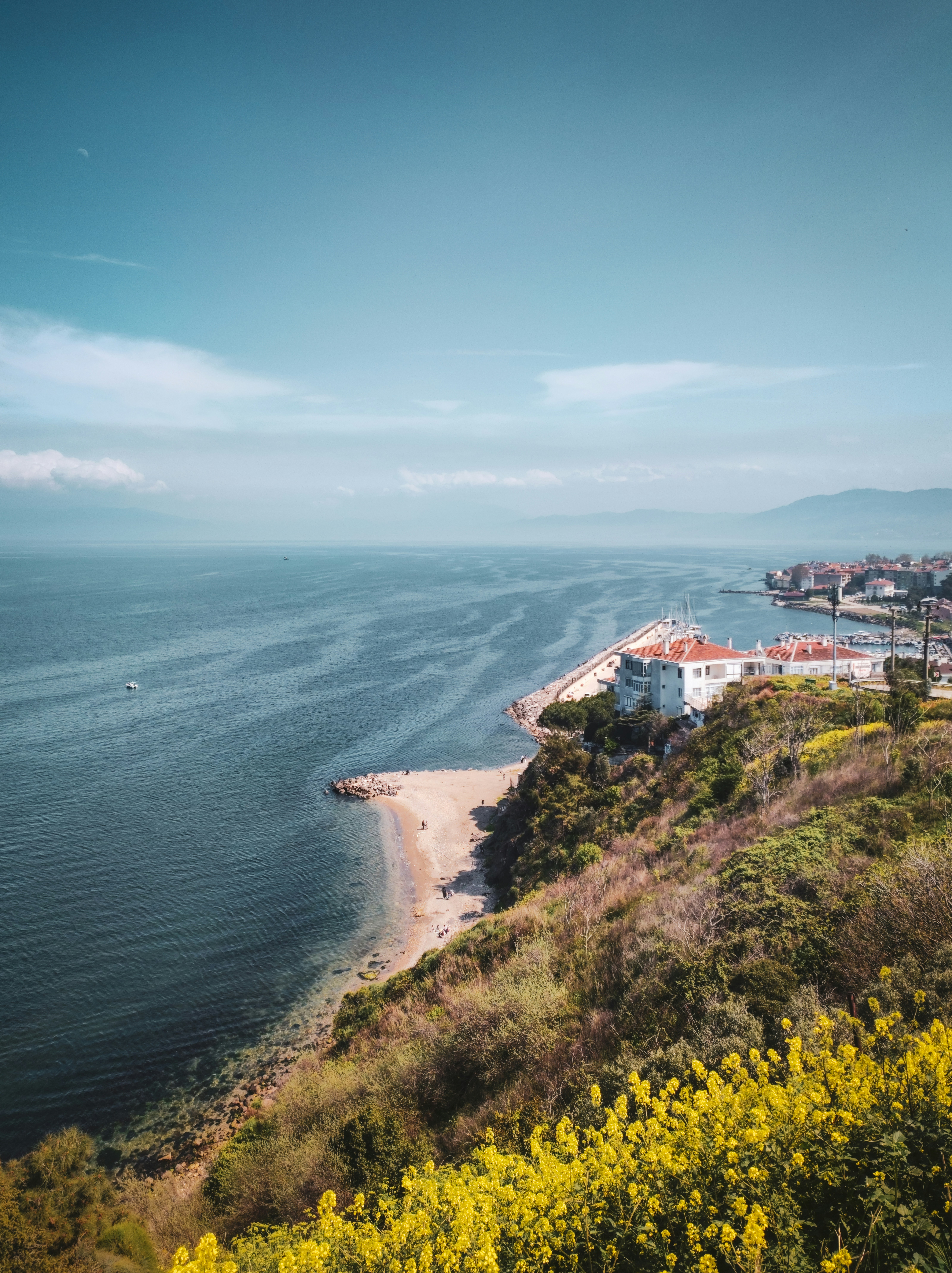 Sunlit coast curves along the hillside, with yellow wildflowers in the foreground and a cluster of pastel buildings lining the shoreline beneath a clear blue sky.