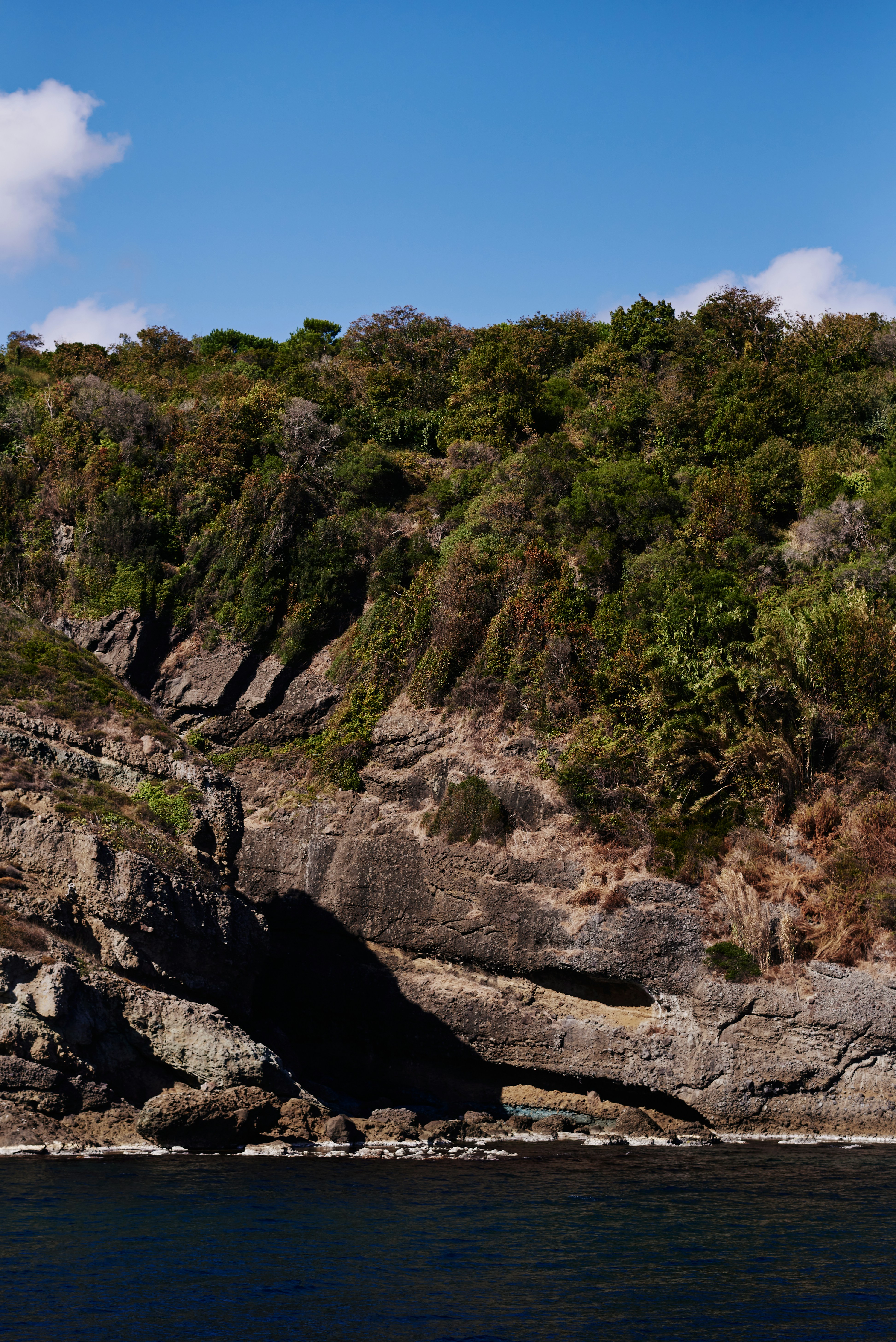 Lush green foliage atop rugged cliffs meeting the deep blue sea under a clear sky.