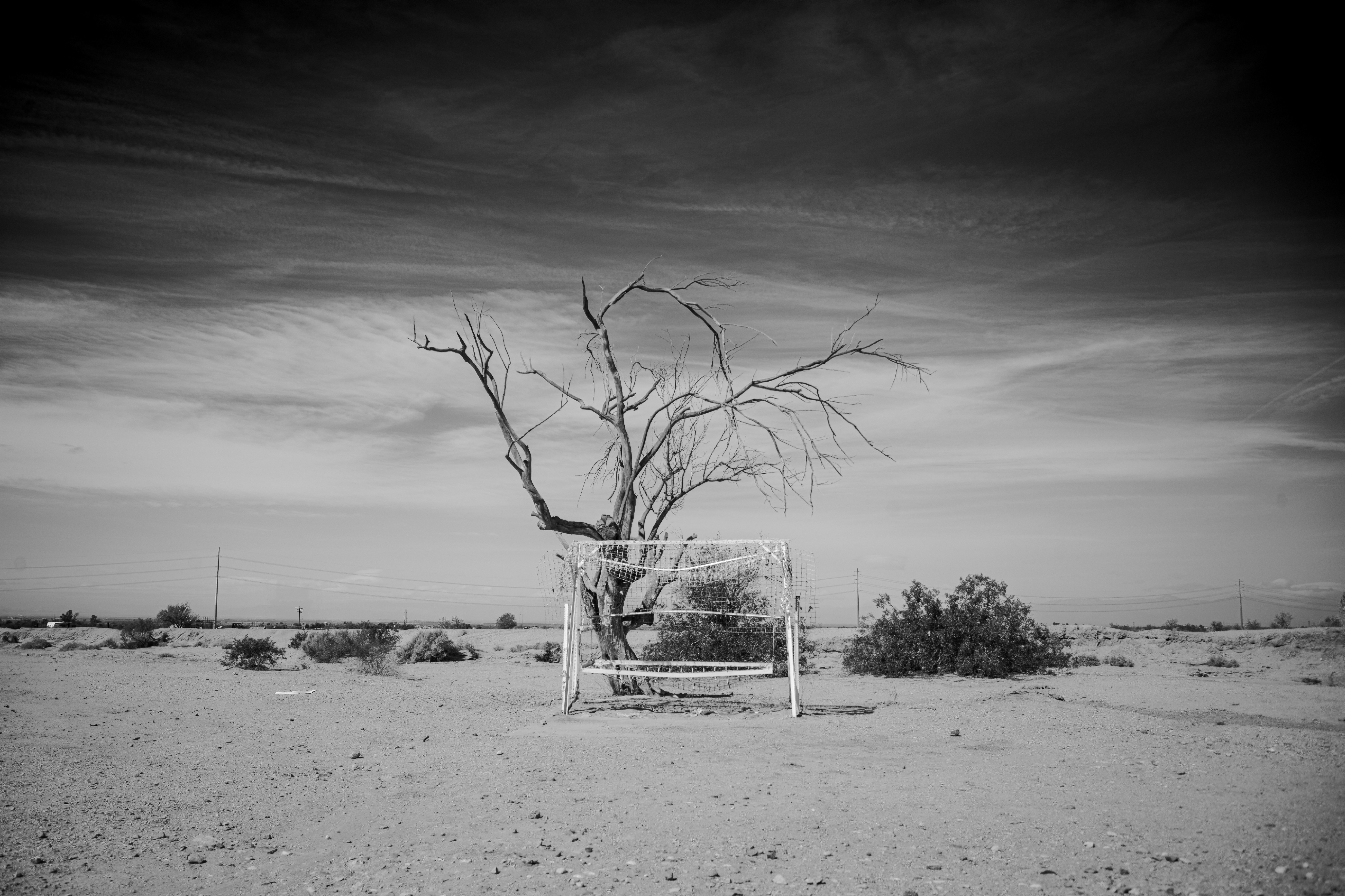Solitary tree and abandoned soccer goal in a desolate, sandy landscape under a cloudy sky.
