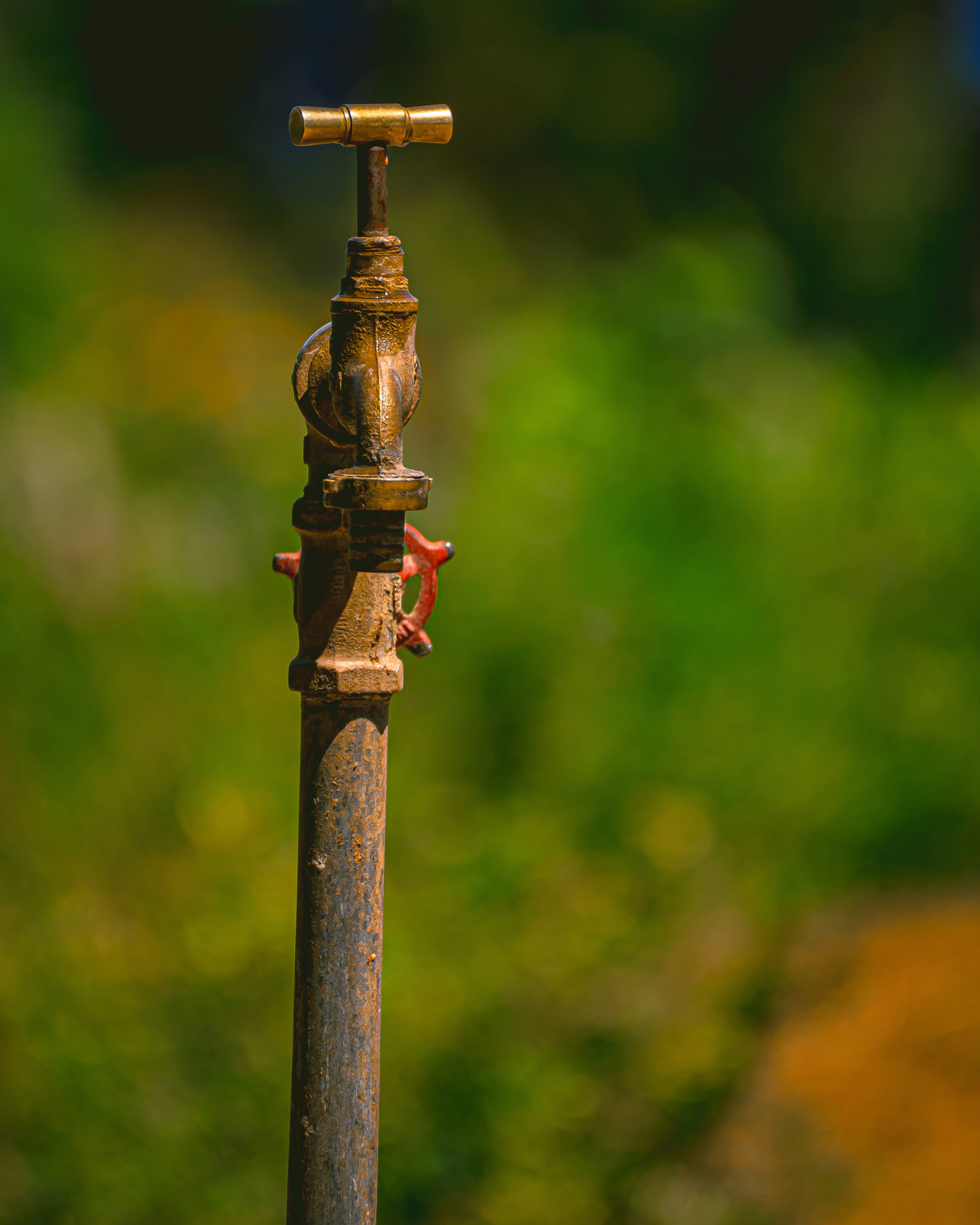 The Rusted Valve: A Quiet Portrait Against Verdant Blur