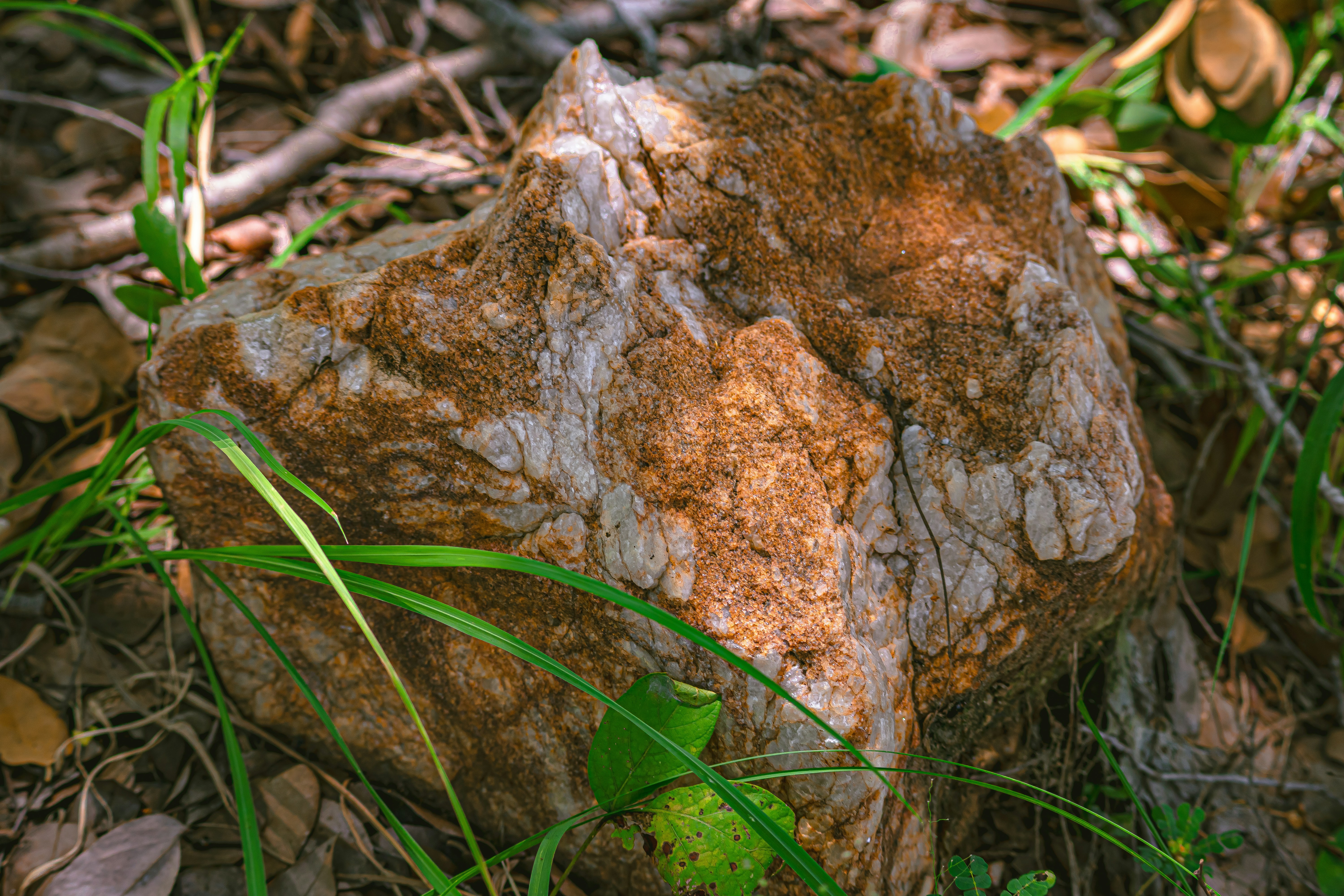 Photo by Malama Mushitu with Sony Alpha 6000