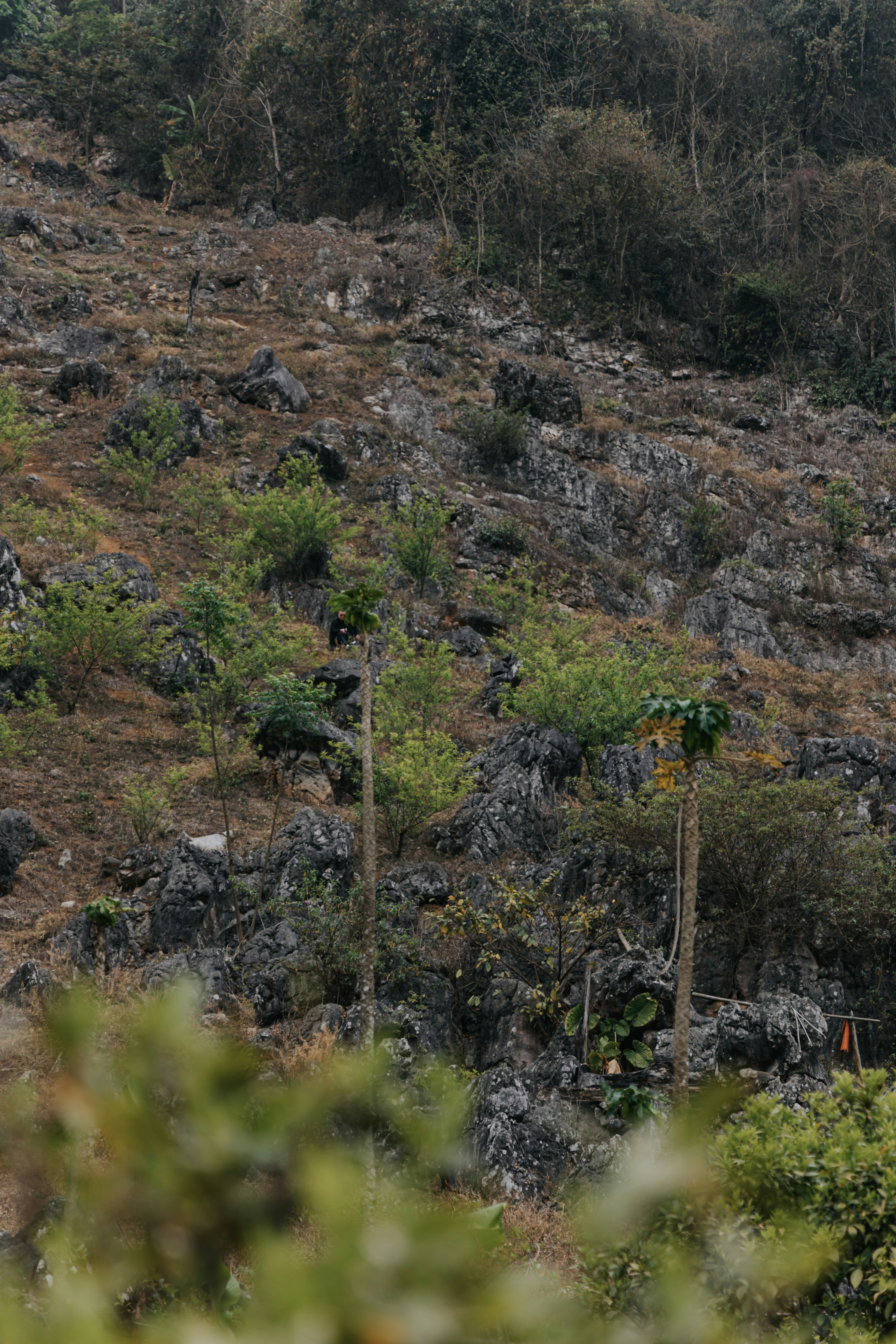 Moc Chau Trip In Vietnam