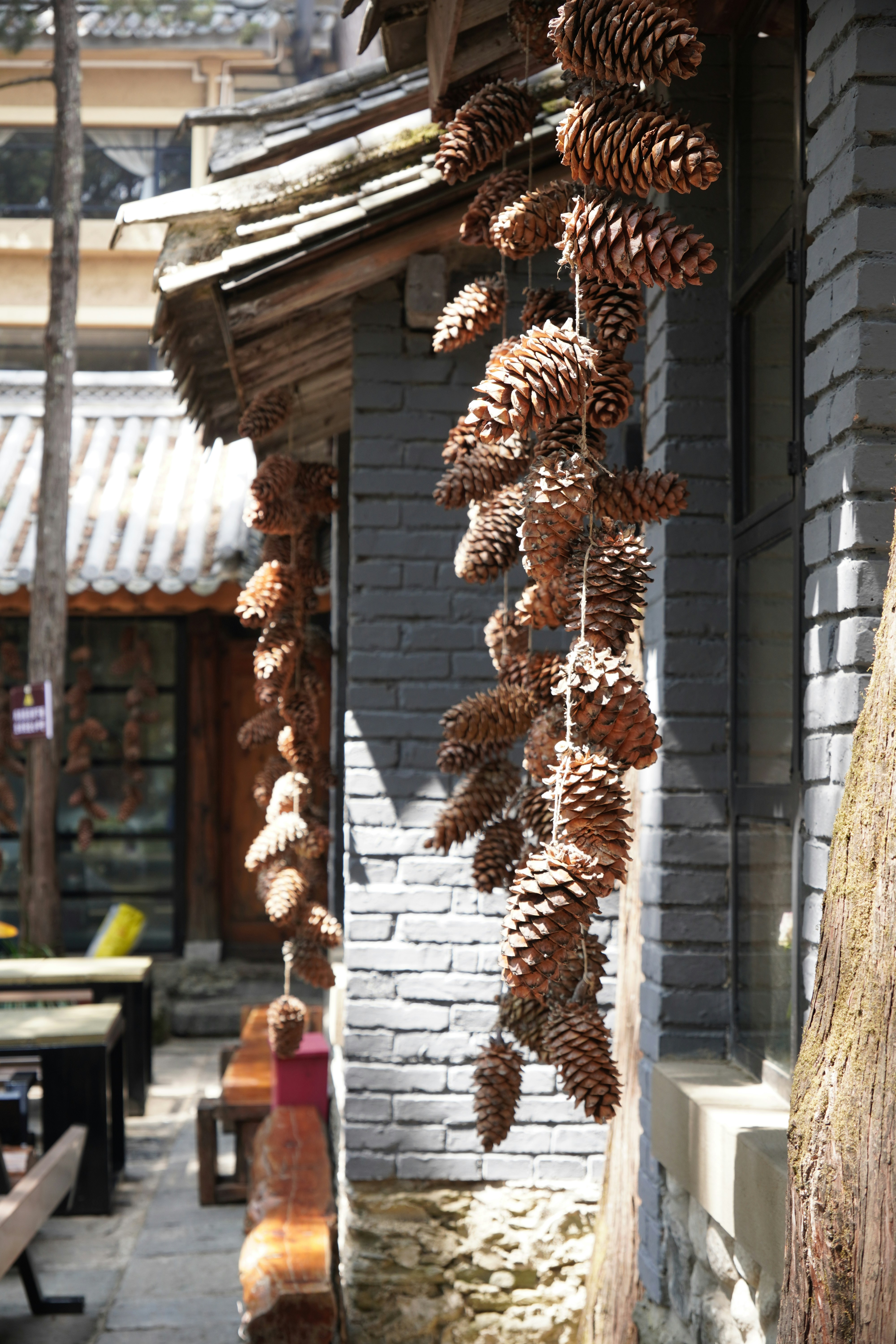 Pinecone garlands frame a sunlit courtyard along a brick wall
