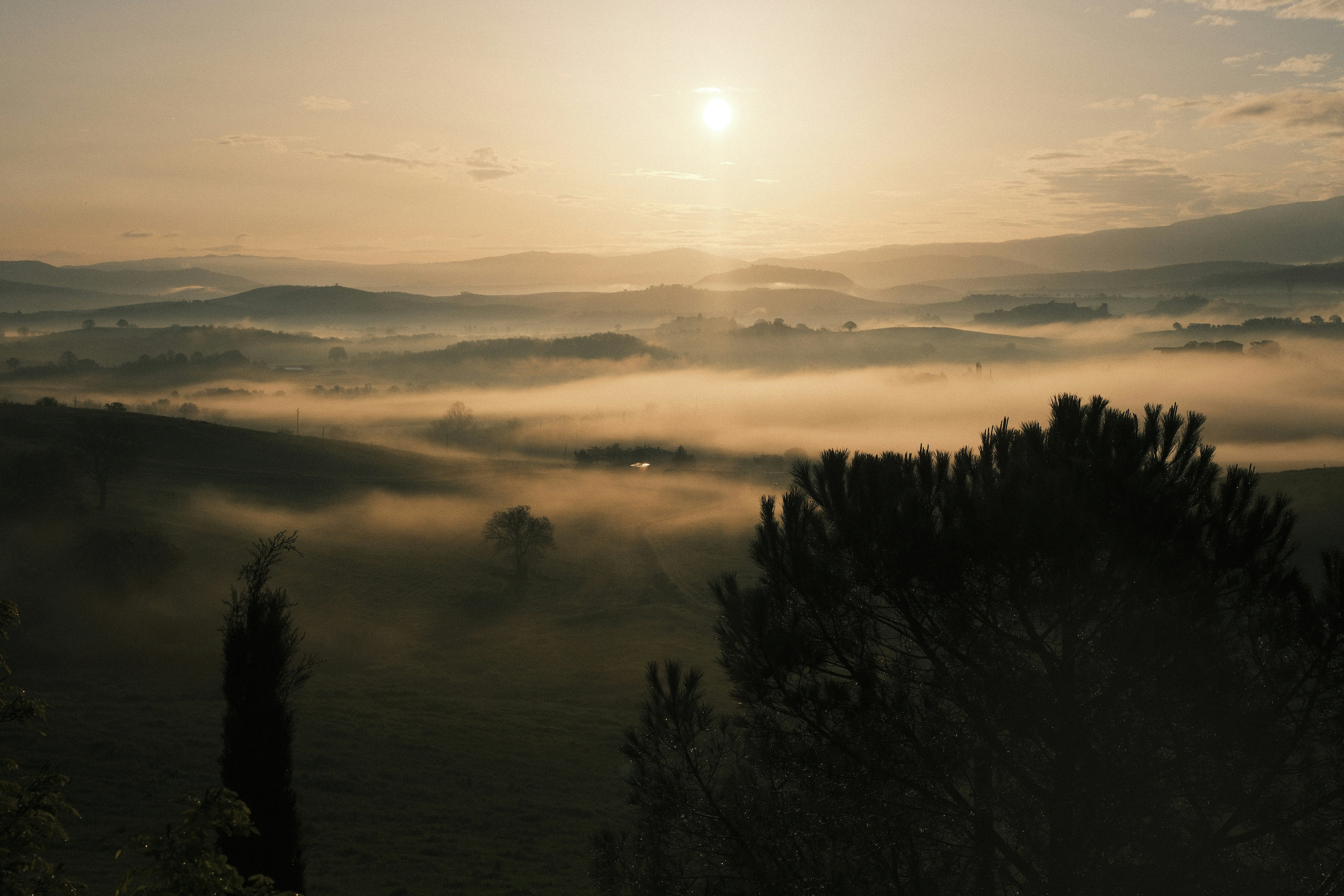 Whispers of Dawn Over Fog-Laden Hills