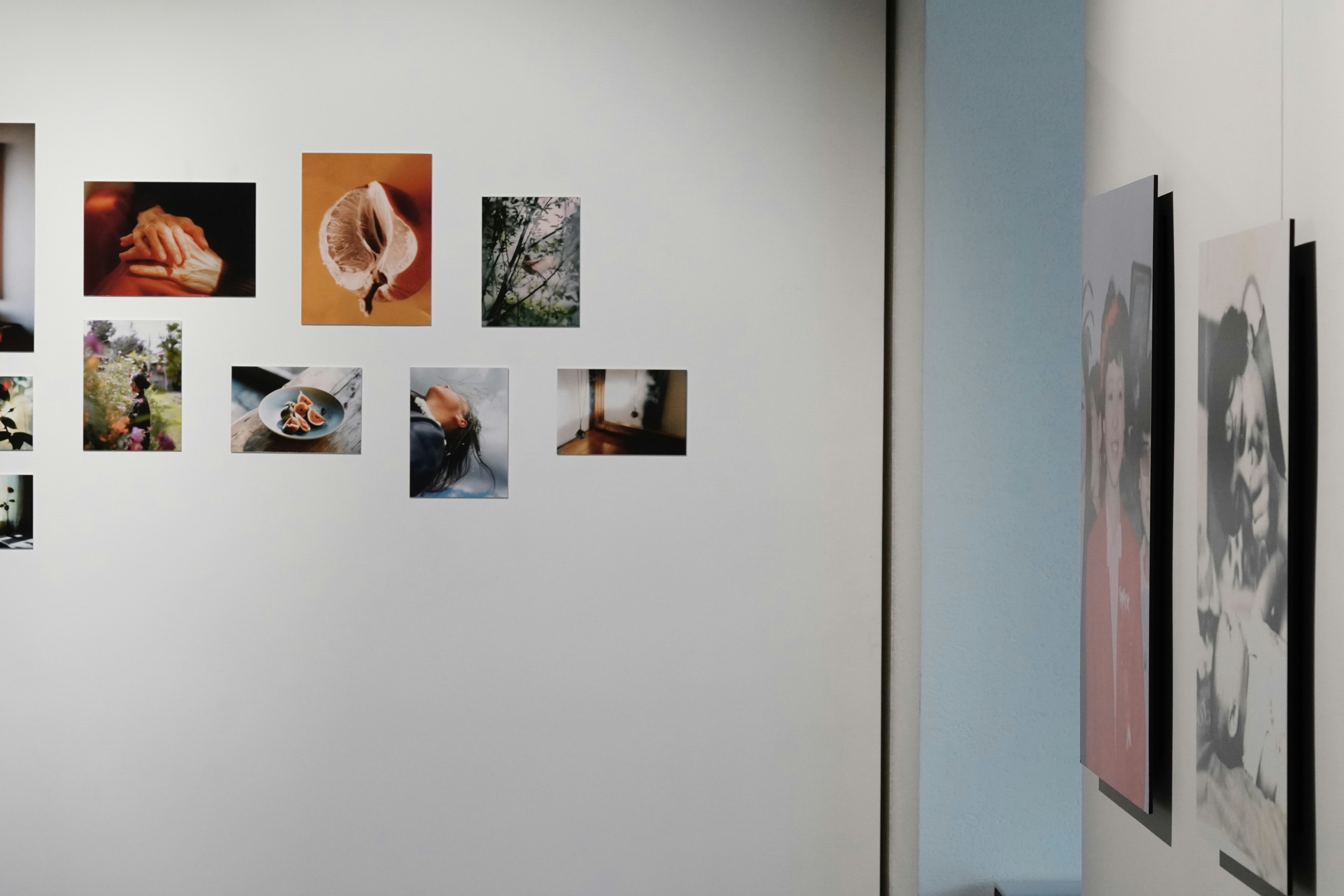 Gallery wall displaying various framed photographs and artworks.