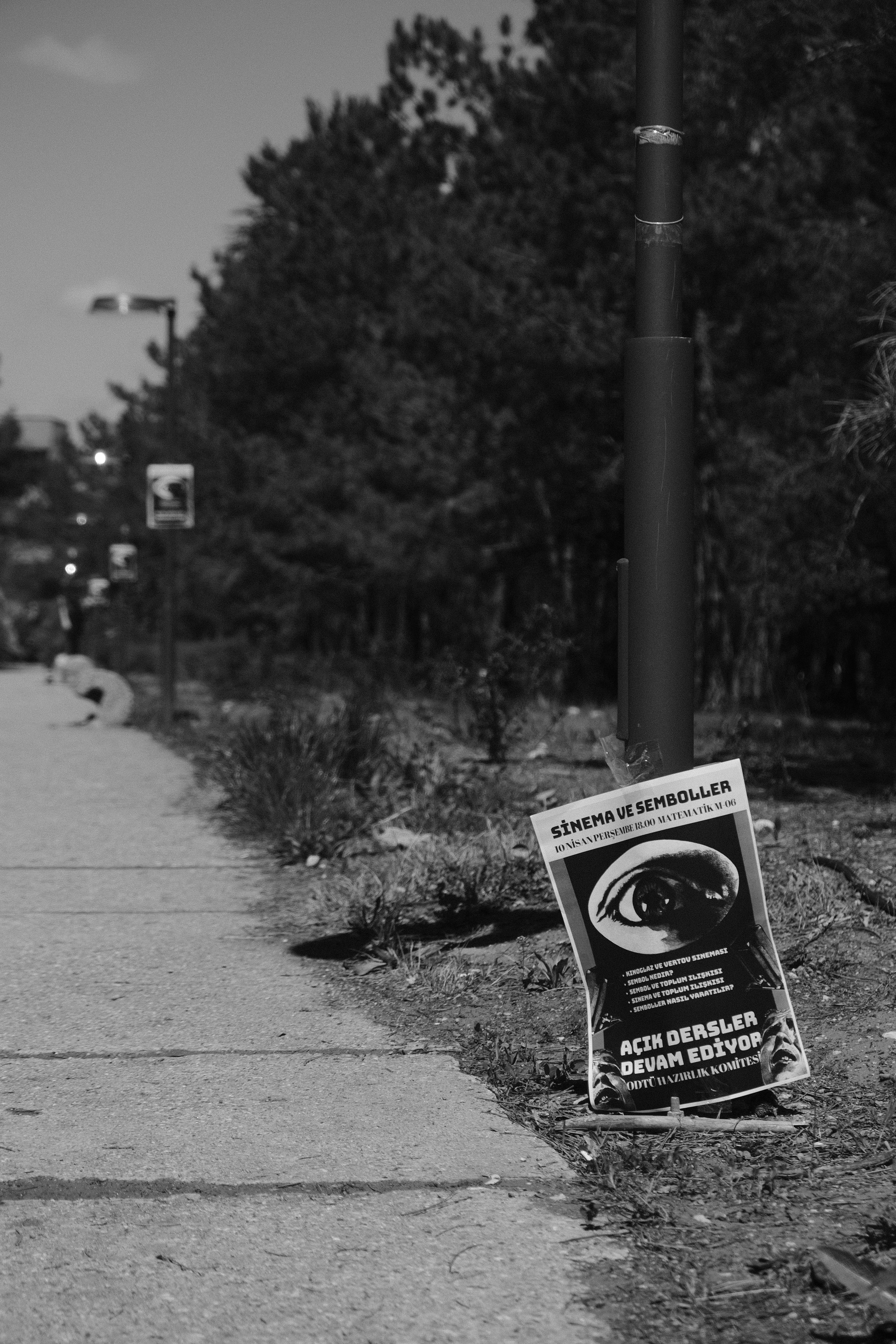 A black and white poster promoting cinema and visual arts, affixed to a pole along a tree-lined path. The scene captures a moment of urban culture and engagement.