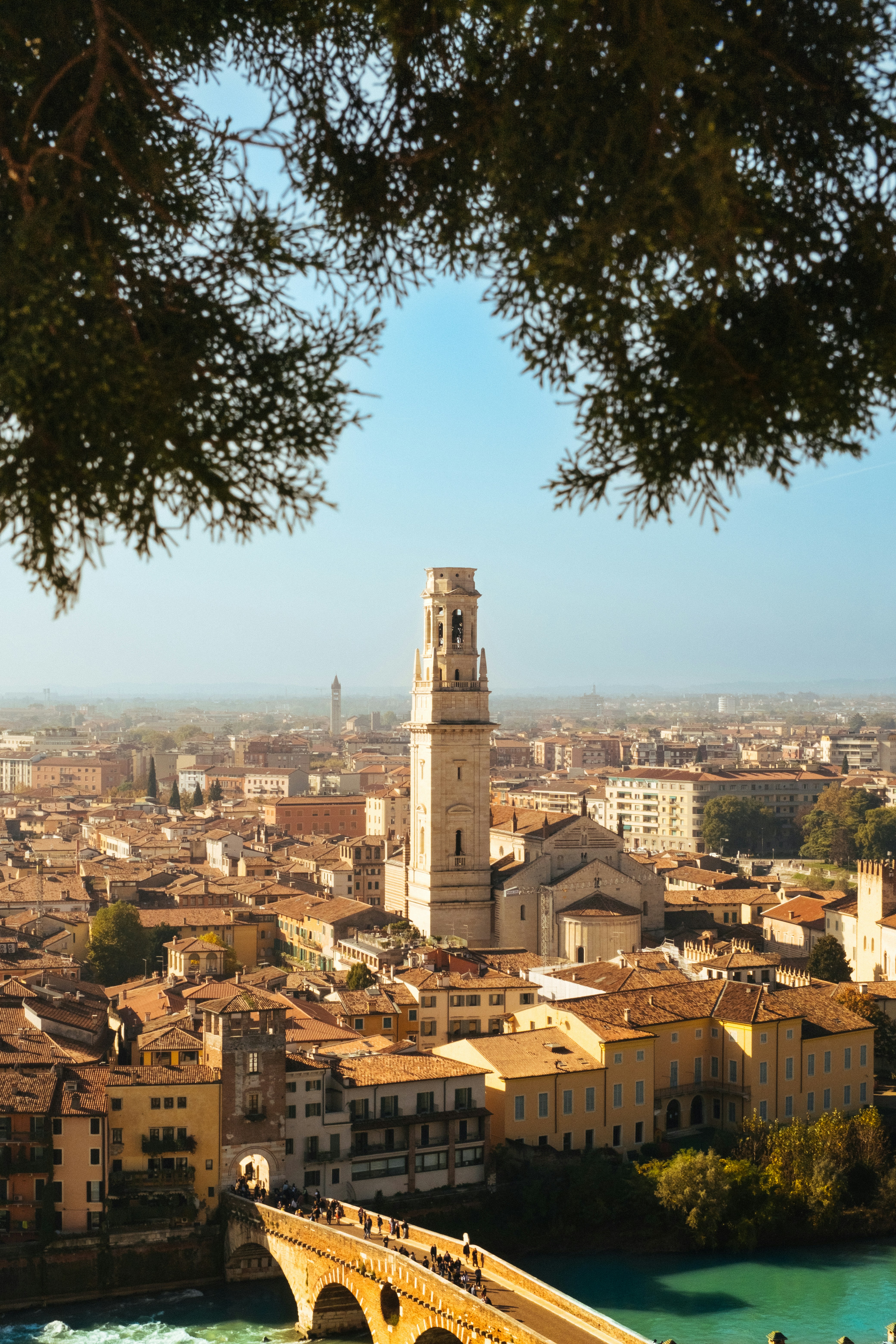 Lamberti Tower rises above Verona's historic rooftops framed by tree branches.