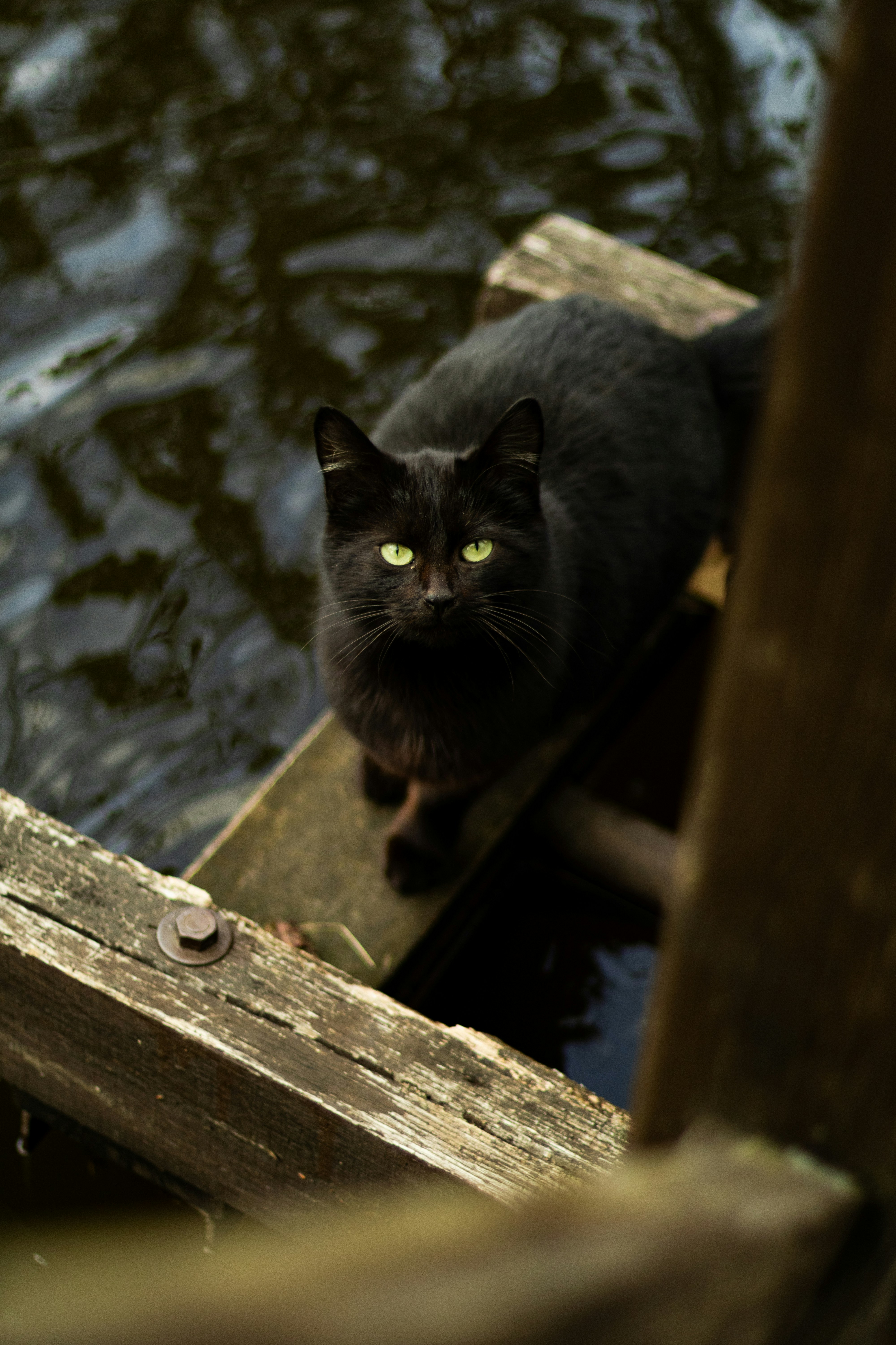 Photo by Anna Keibalo with Canon EOS R50