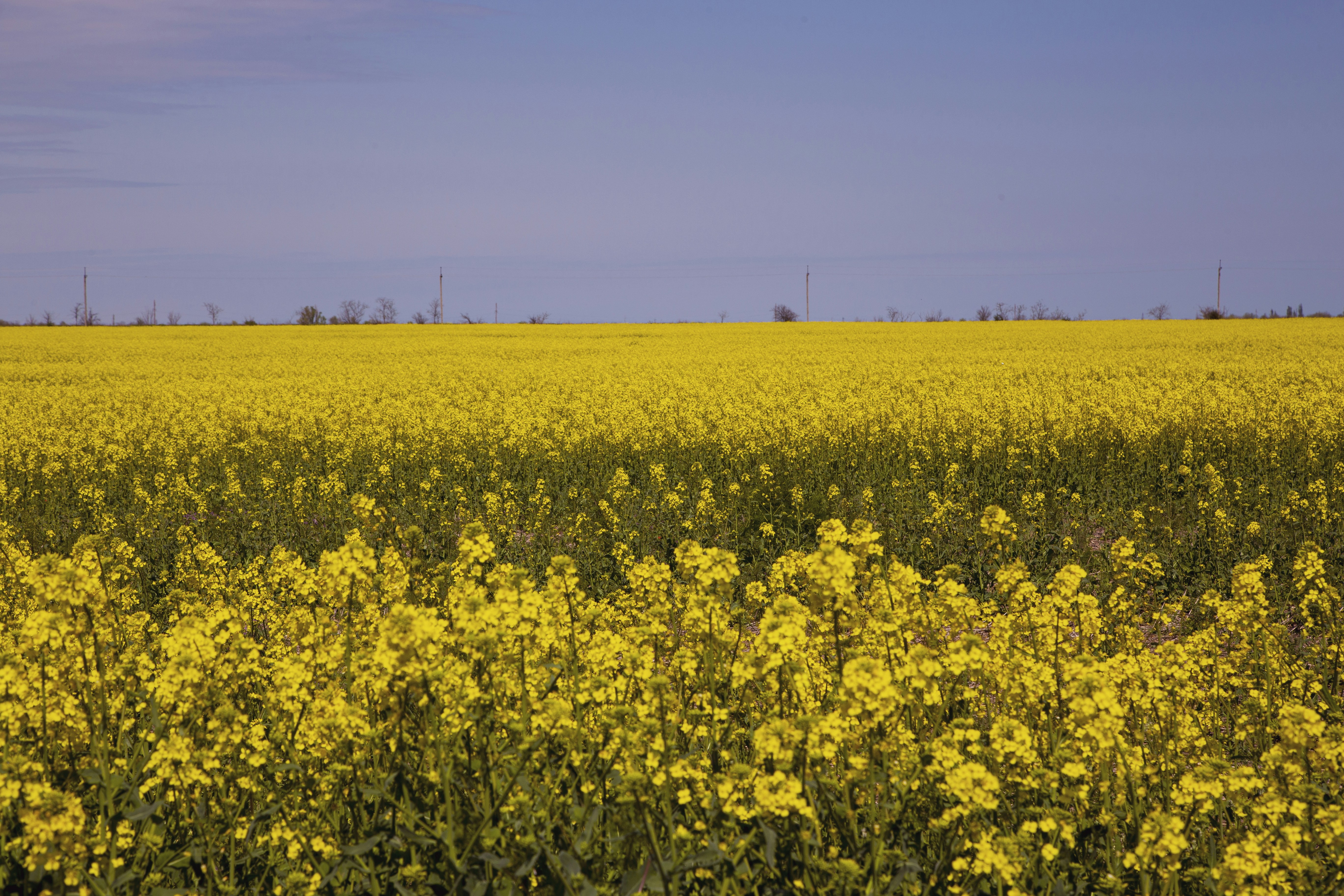 Photo by Yana Gorbunova with Canon EOS 6D