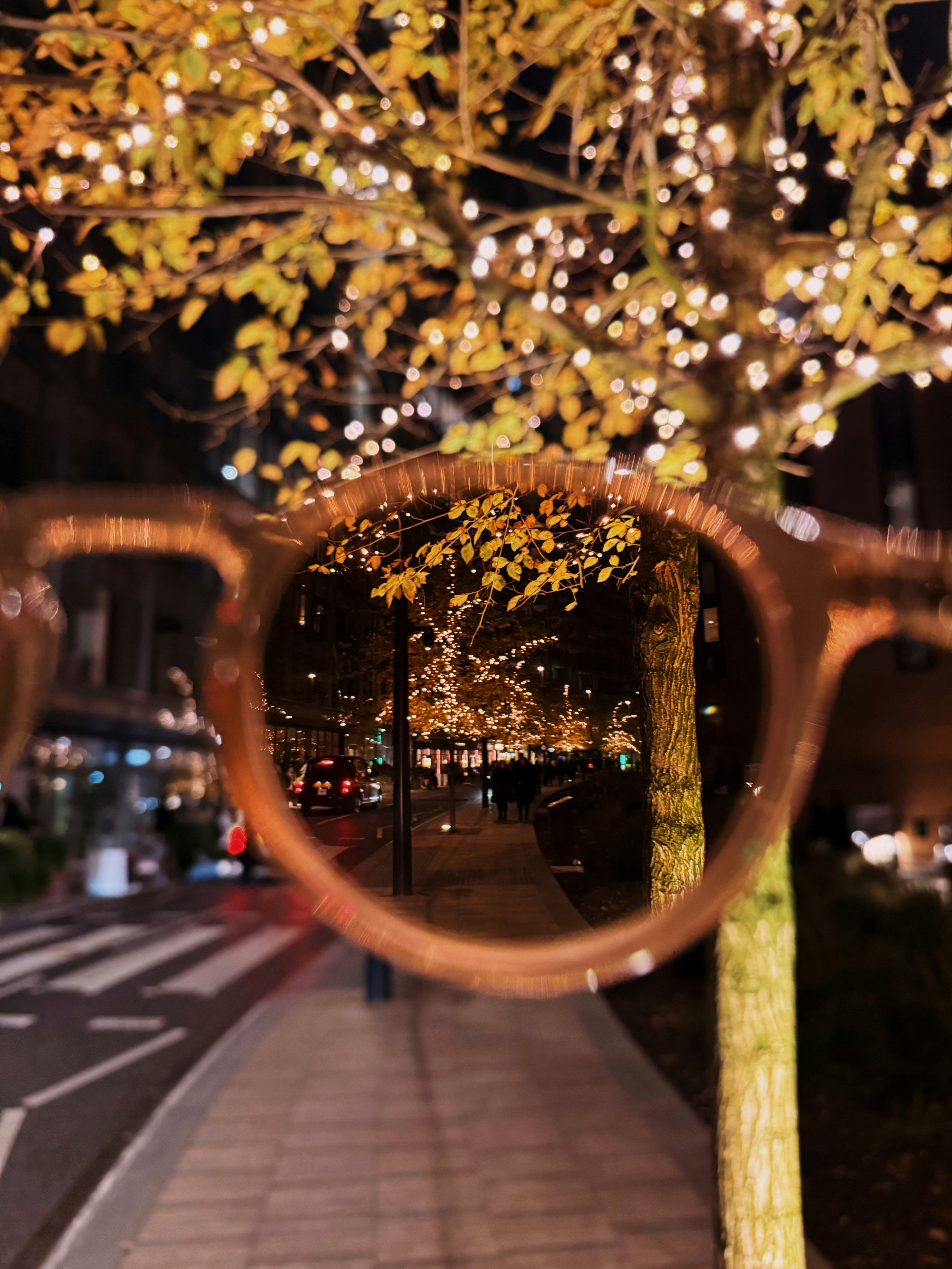 Through the Lens of Autumn