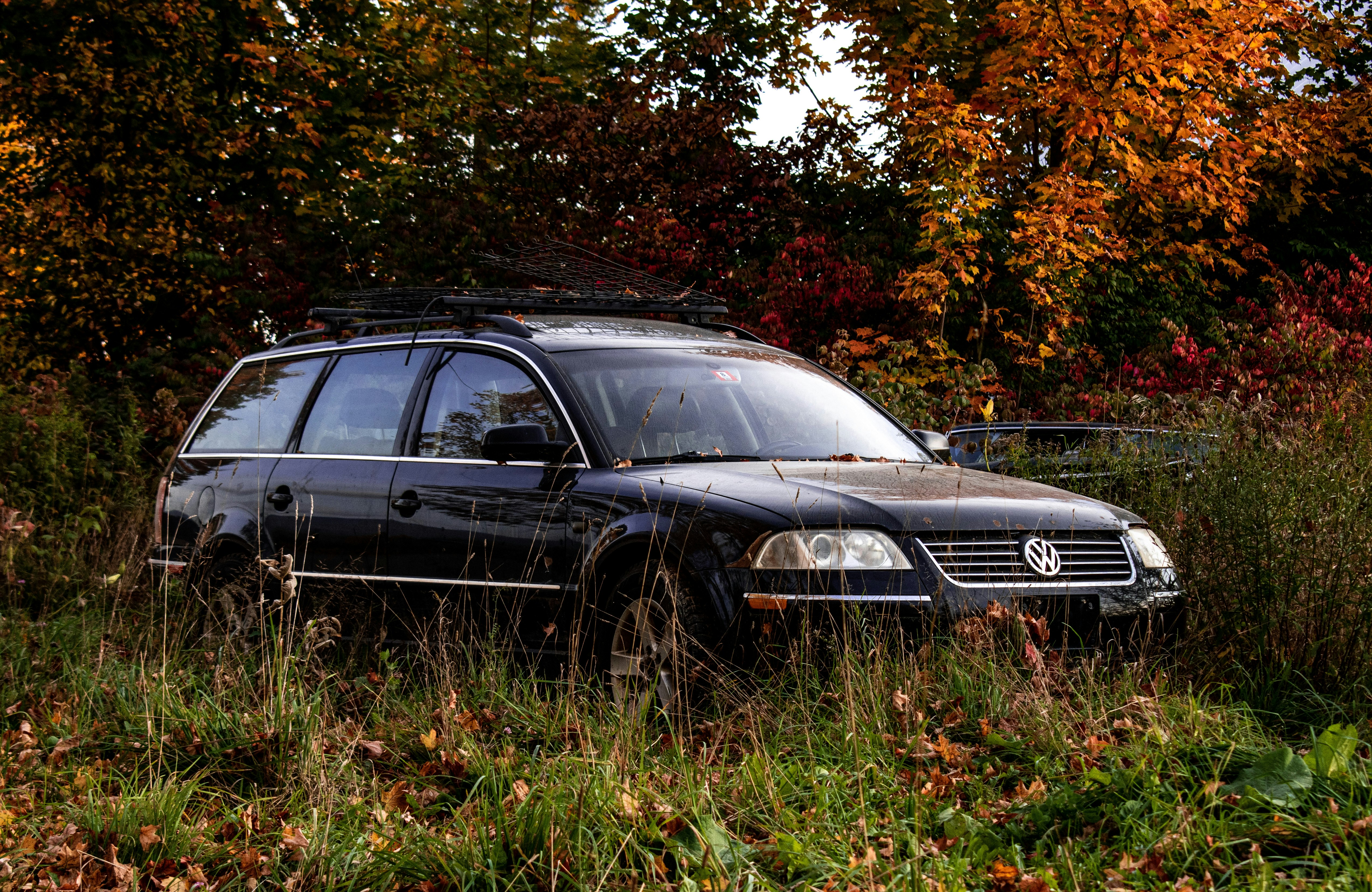 Autumn in the Rearview: A VW Wagon Nestled Amid Flaming Foliage