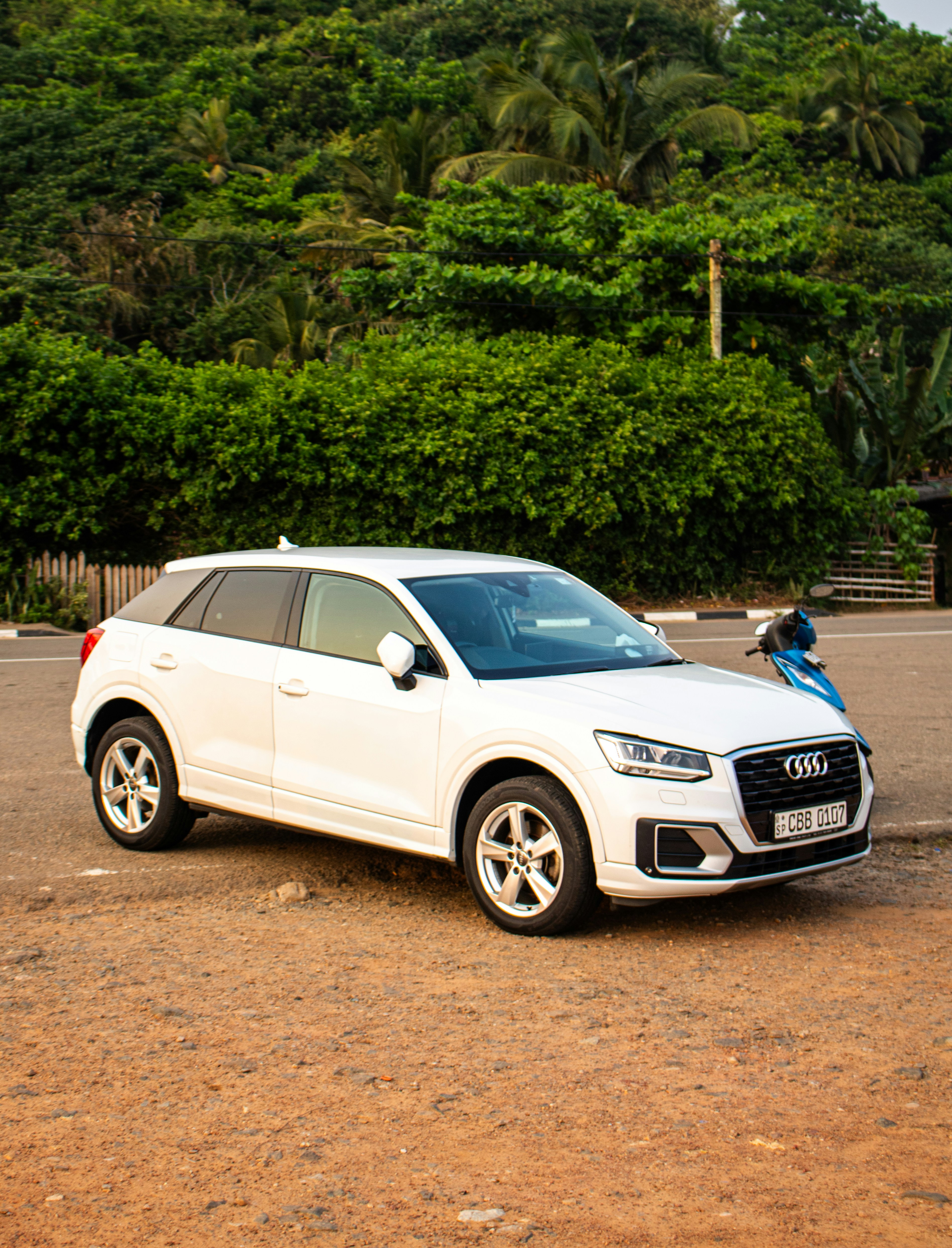 A white audi q2 is parked near green trees. photo – Free Car Image on ...