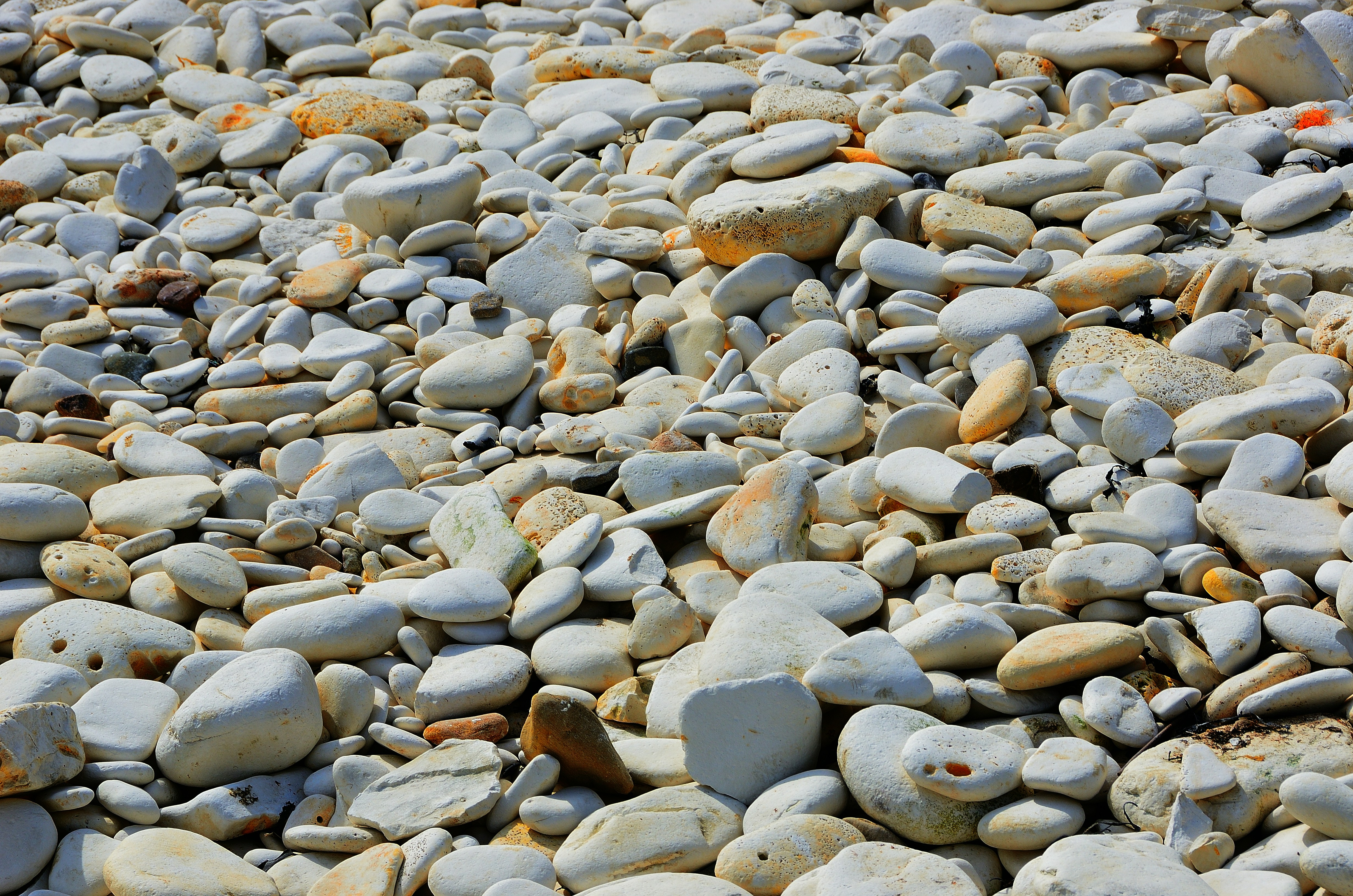 Pebbles cover a beach's surface. photo – Free Beach Image on Unsplash