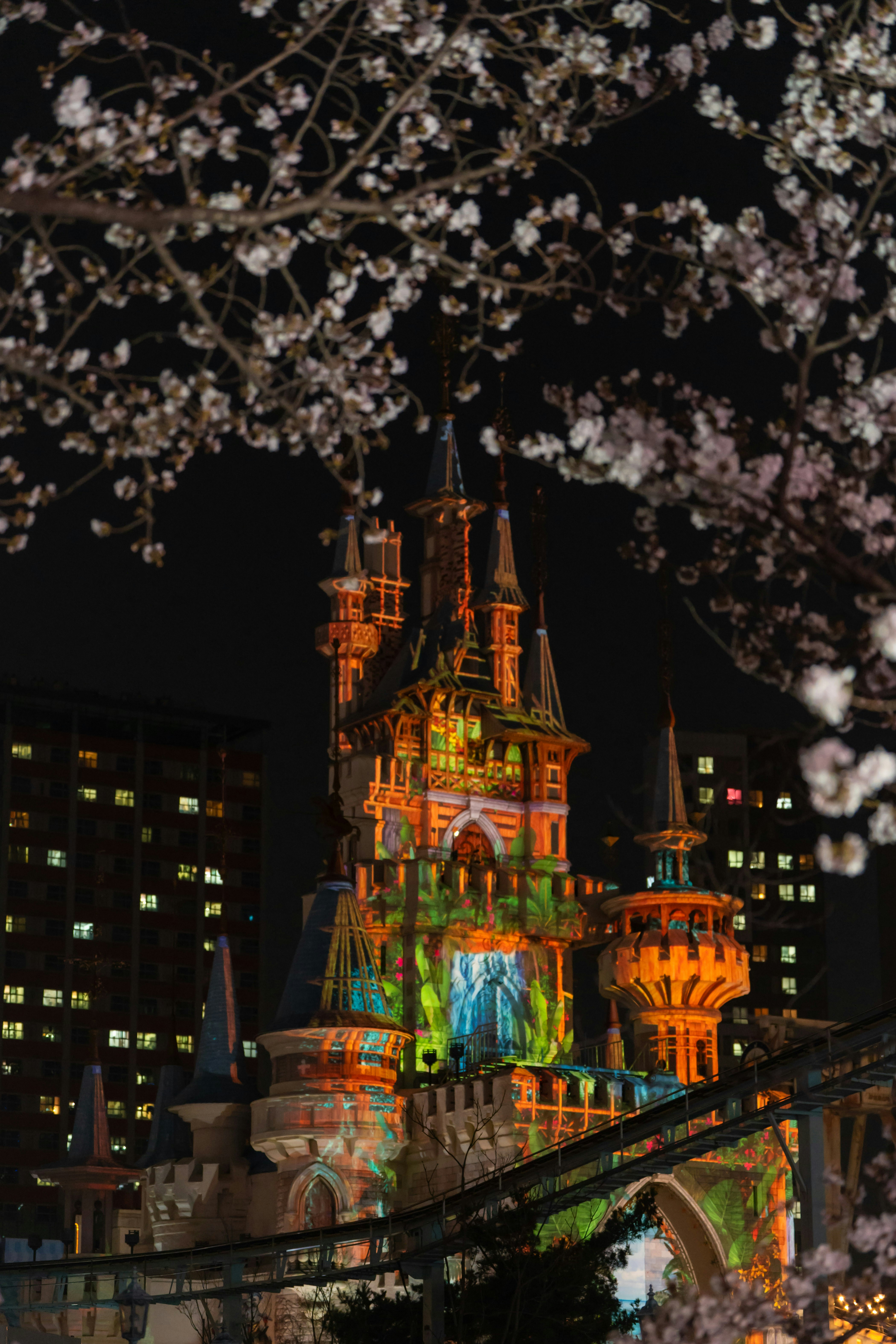 A lit-up castle is framed by cherry blossoms. photo – Free Building ...