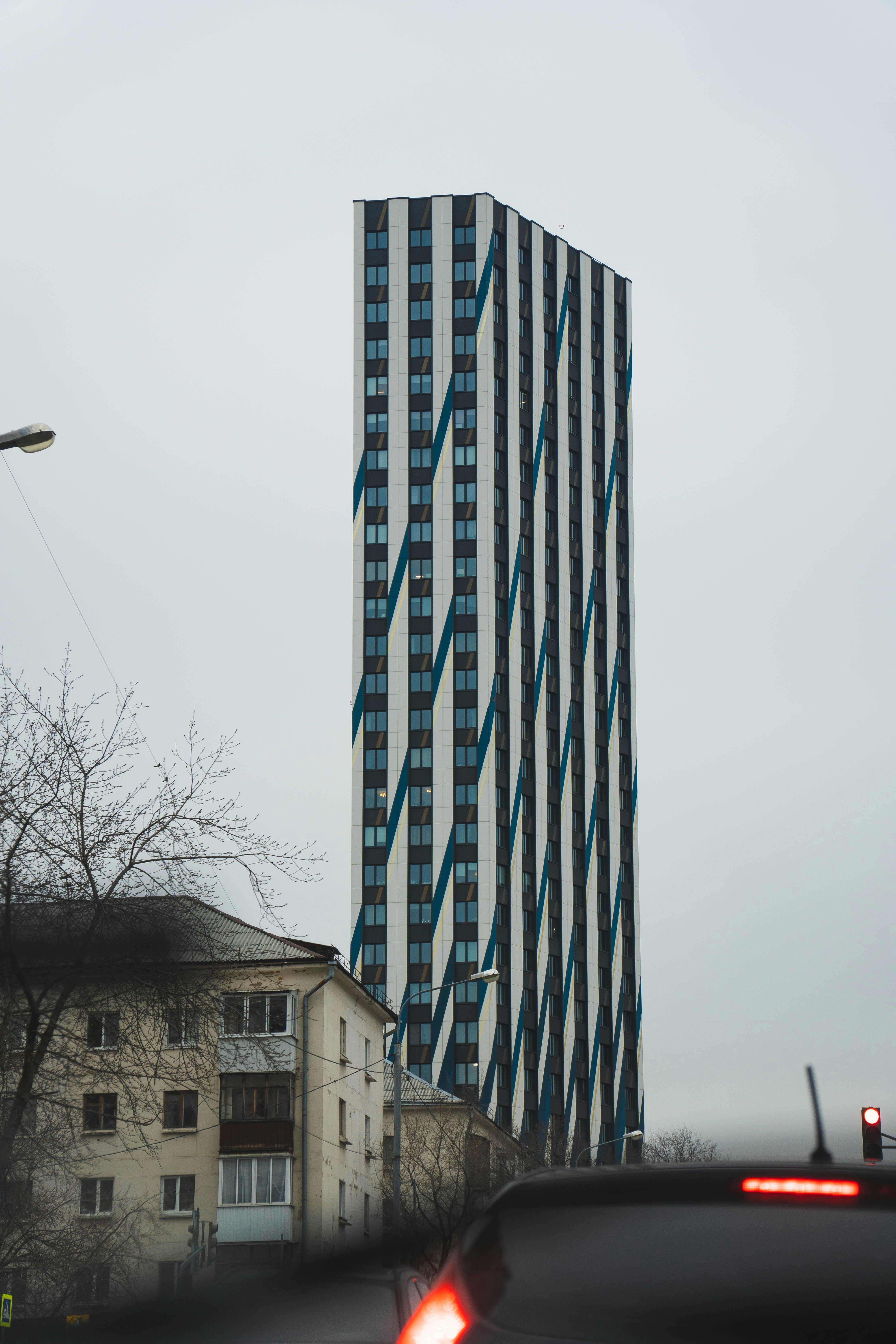Vertical Elegance Amidst Urban Grit