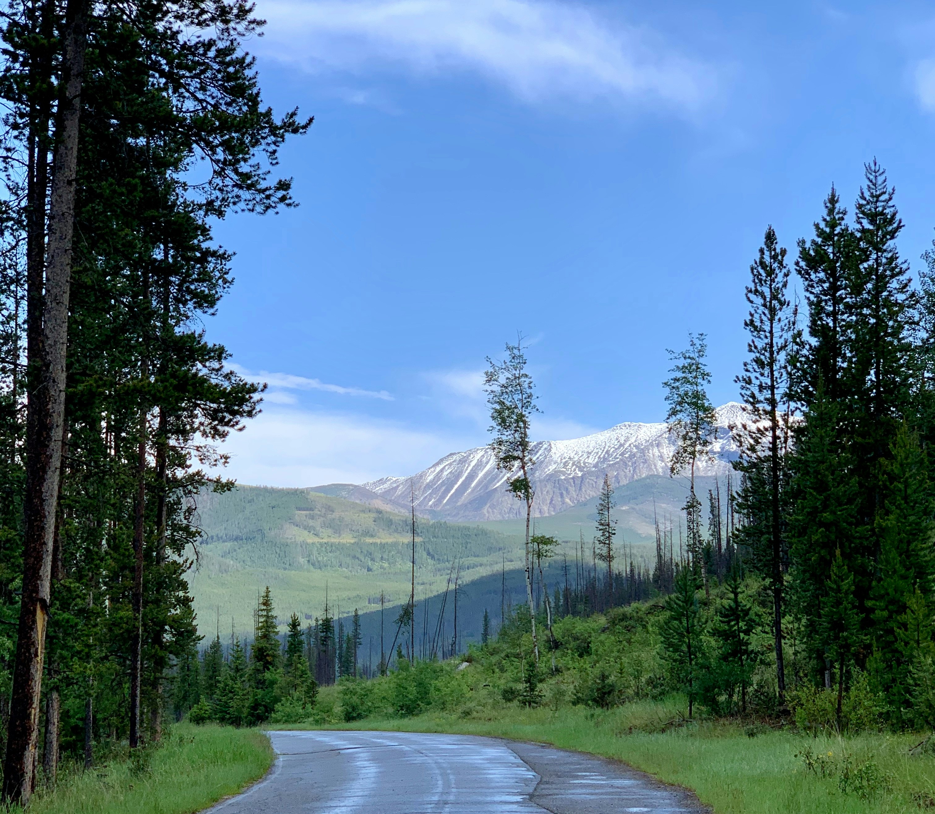 Whispers of the Wilderness: A Journey Through Nature's Embrace