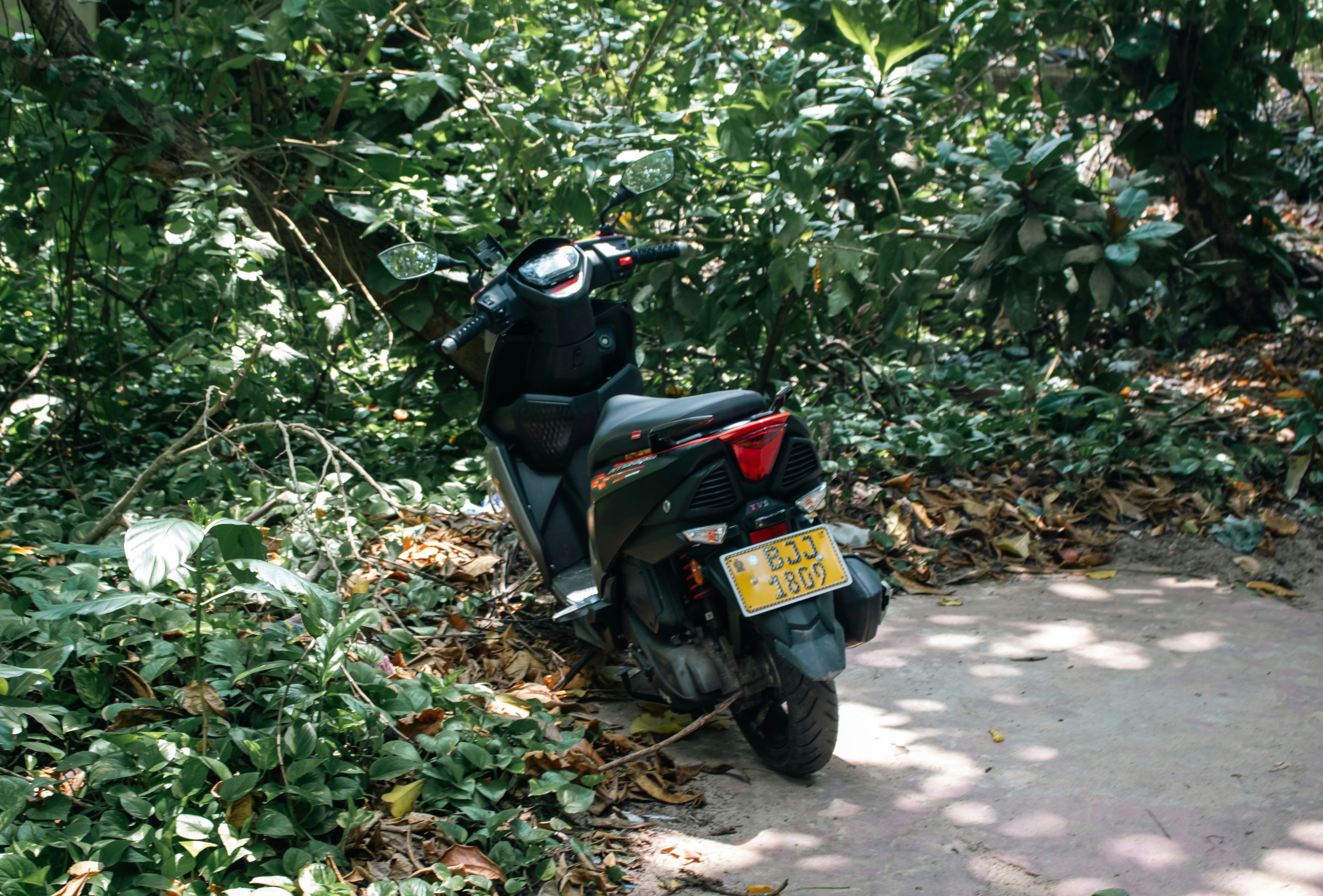 Scooter tucked along a sun-dappled green verge