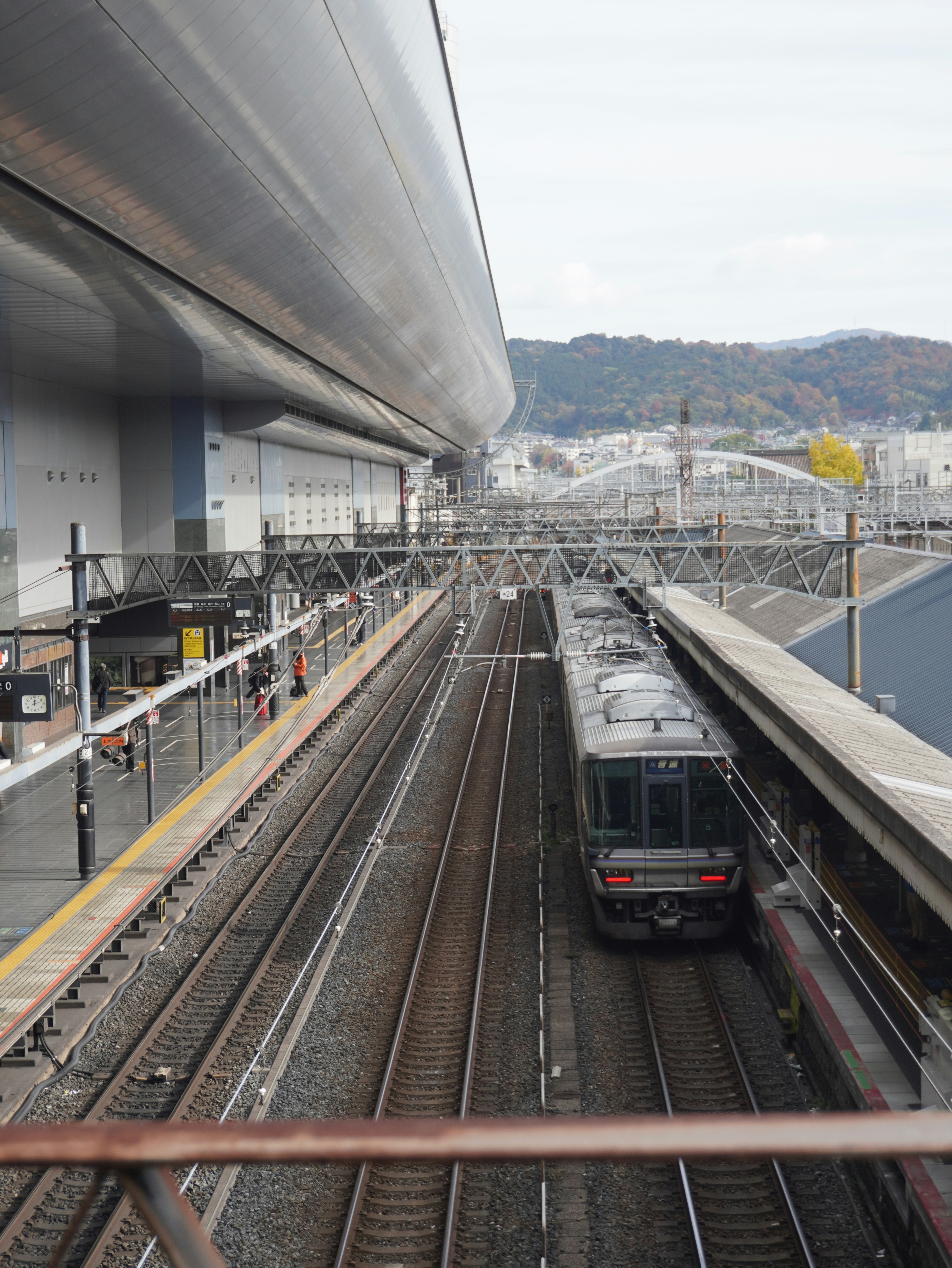 A train is waiting on the railroad track.