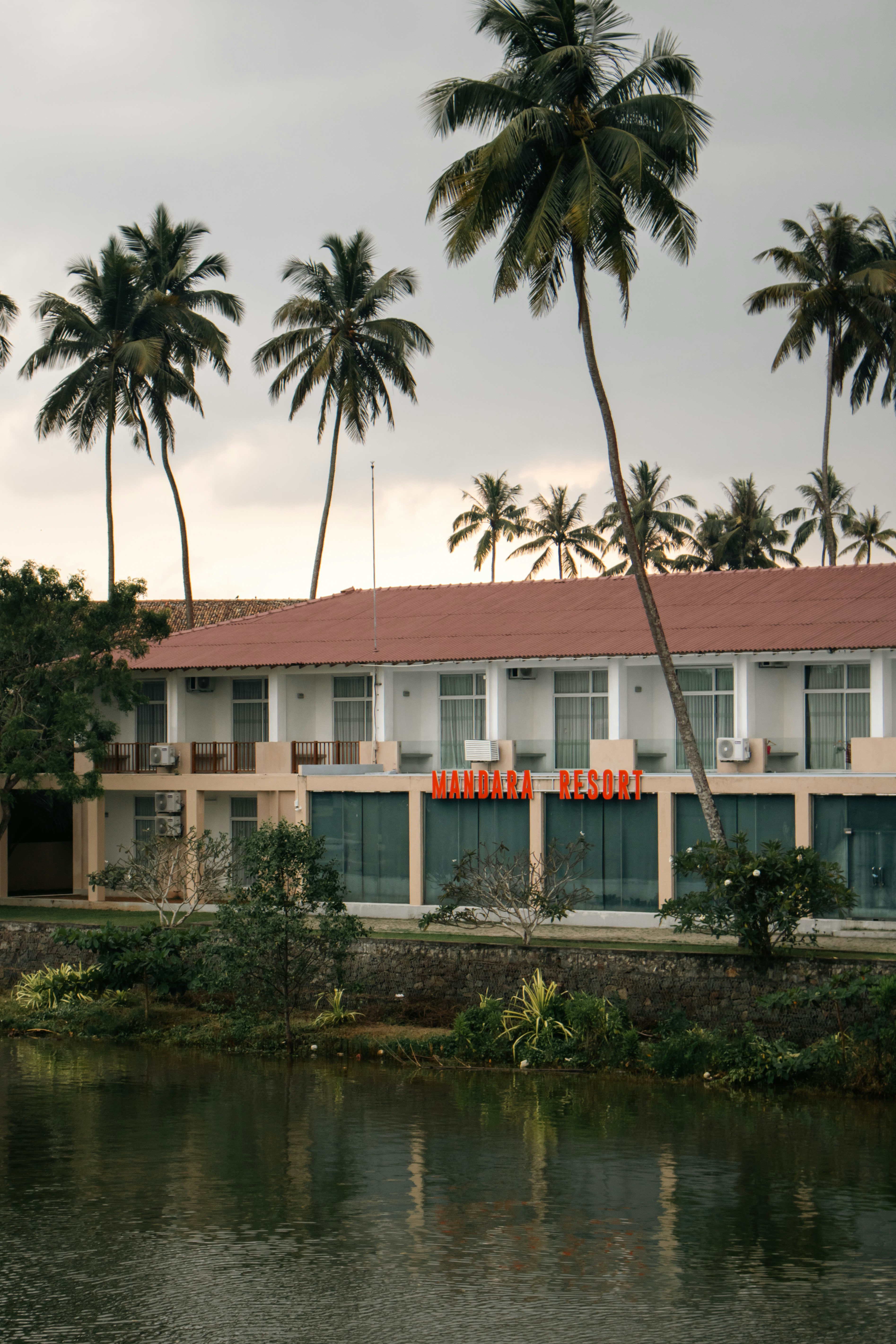 Tranquil Oasis Amidst Towering Palms