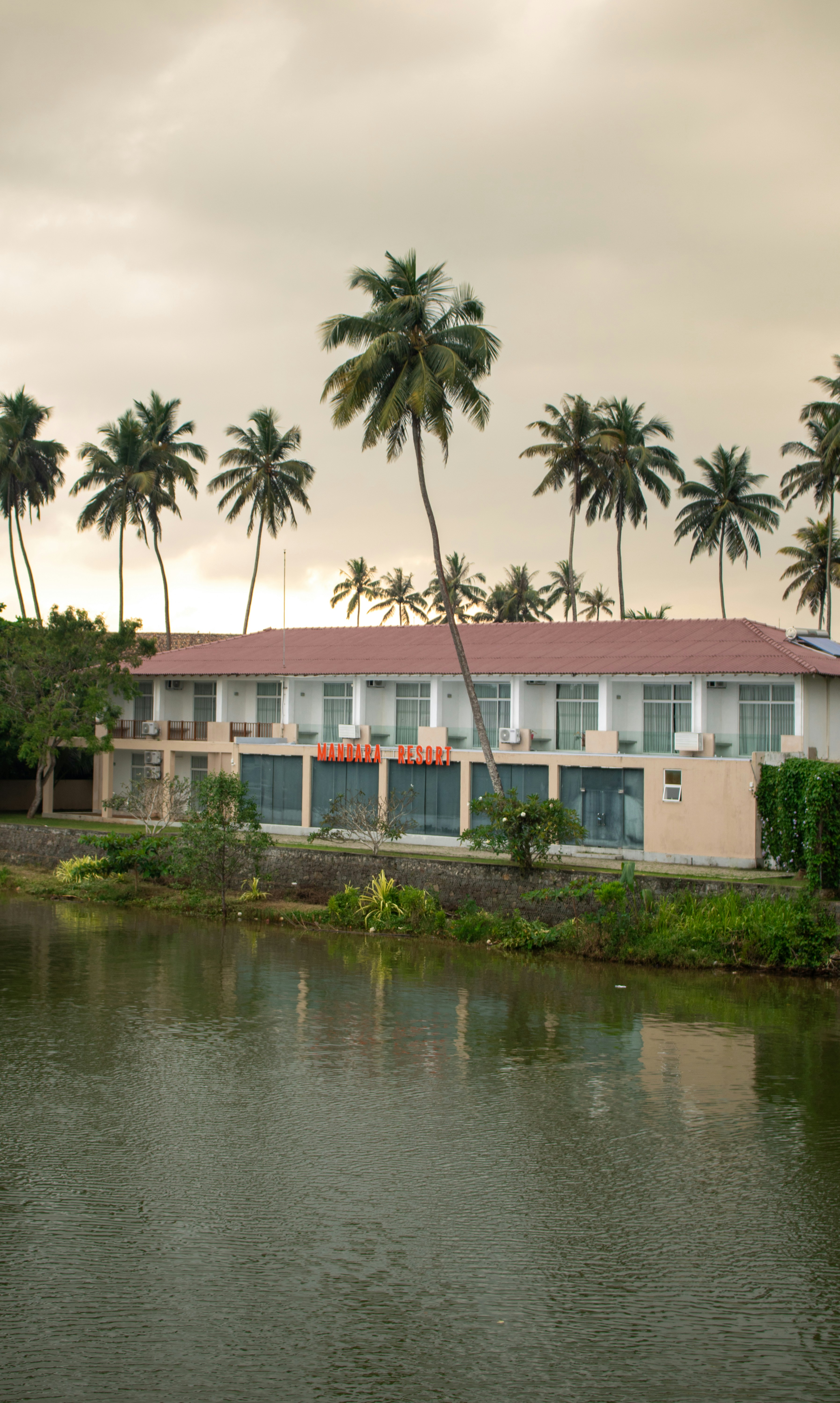 Contemporary building with balconies set against tall palm trees by a tranquil river under an overcast sky.