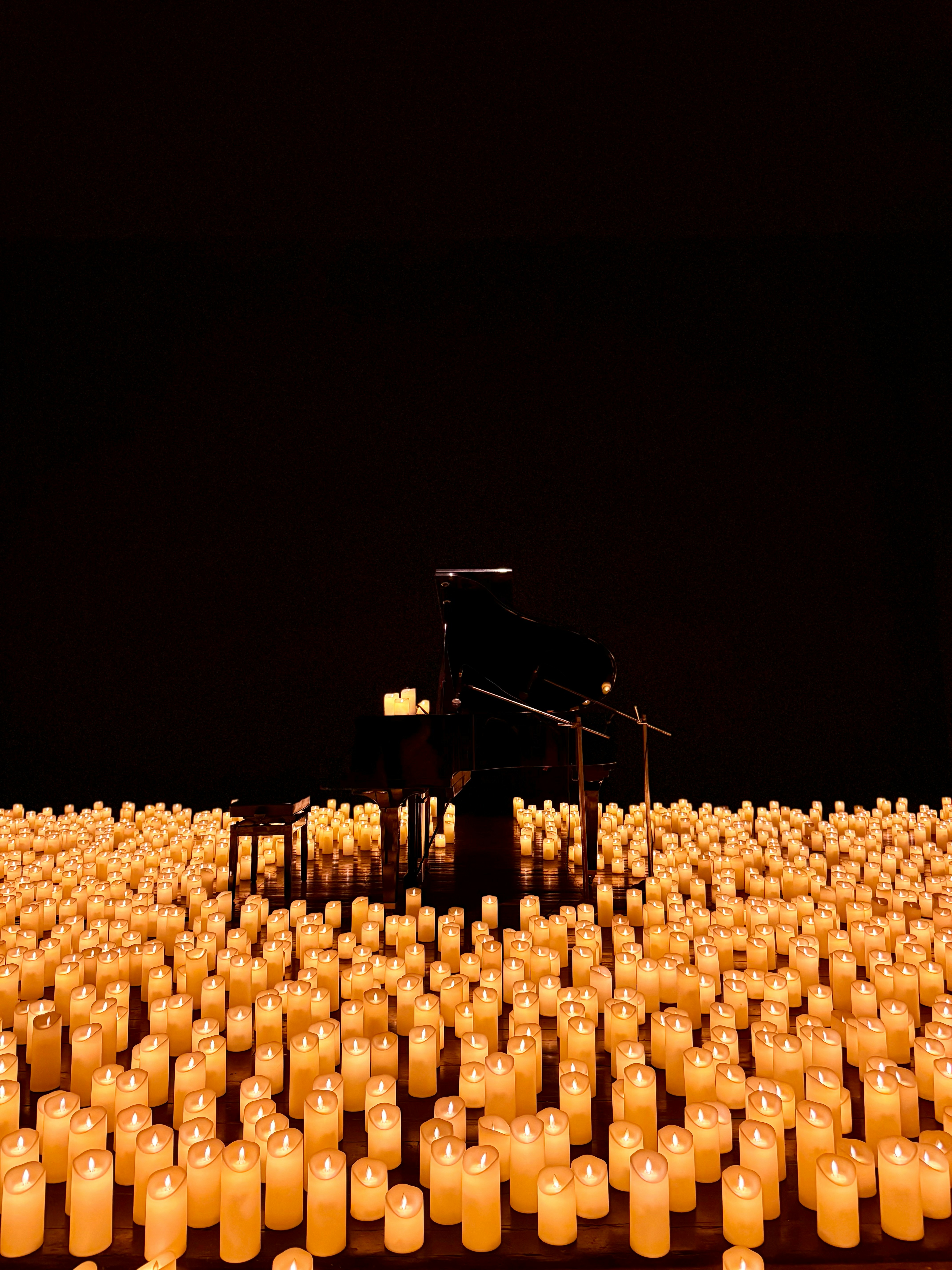 Serenade Among Flickering Flames